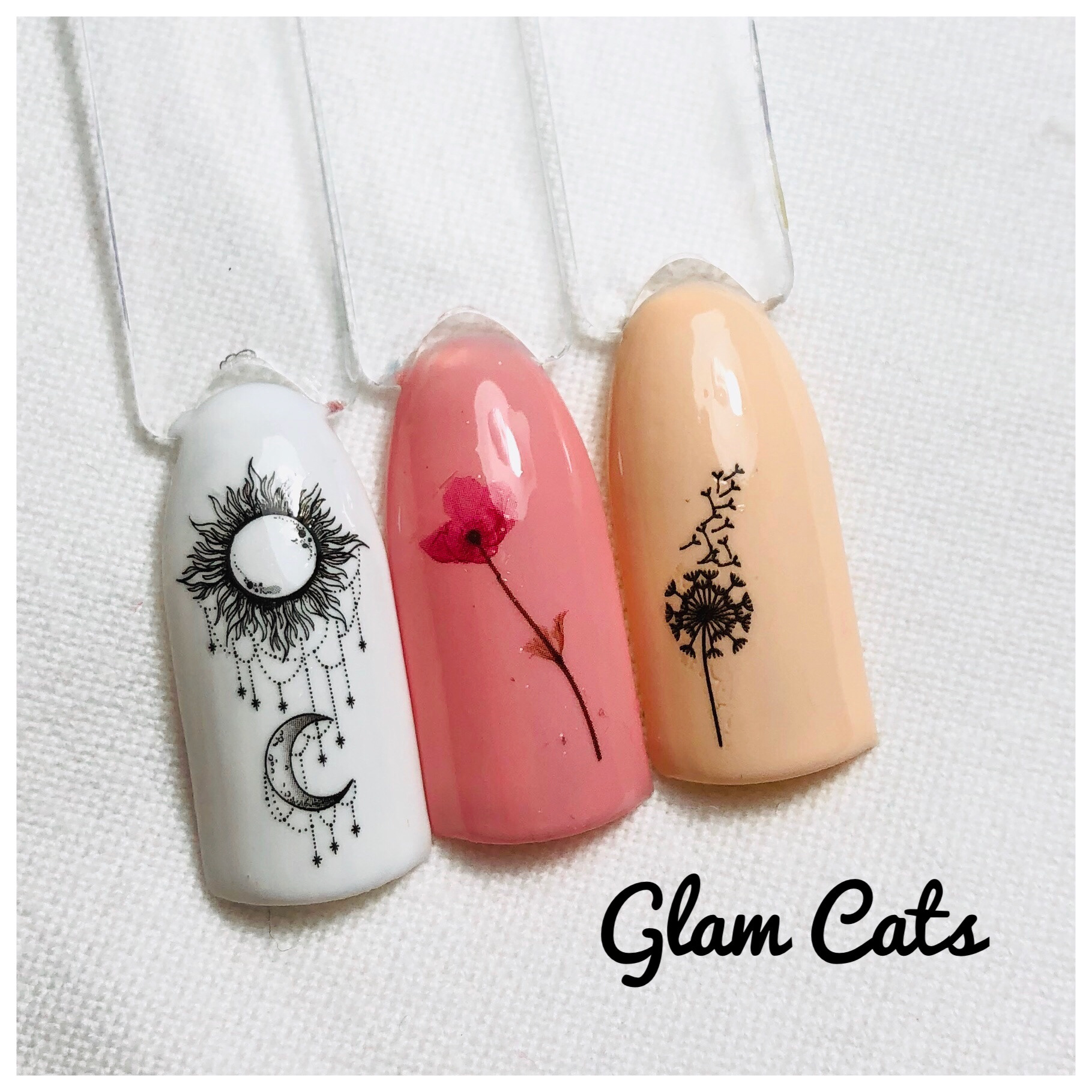Glam Cats - Gallery