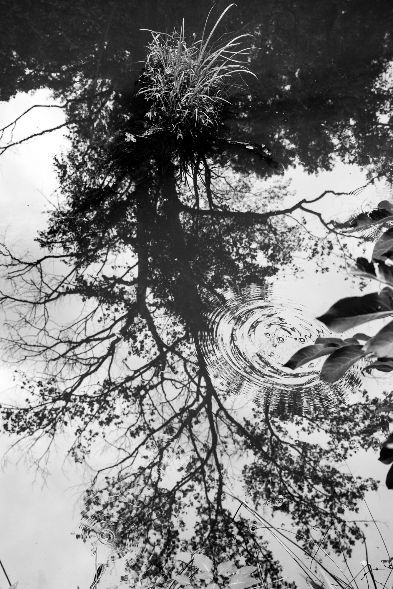 James Crissman Photography - Us Highway 70