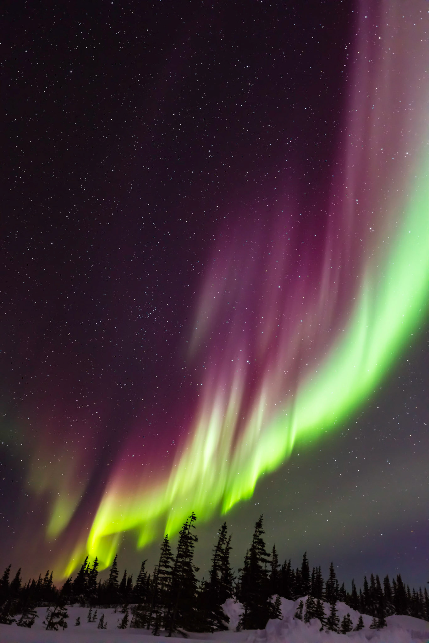 Andrew Partridge - Aurora Borealis