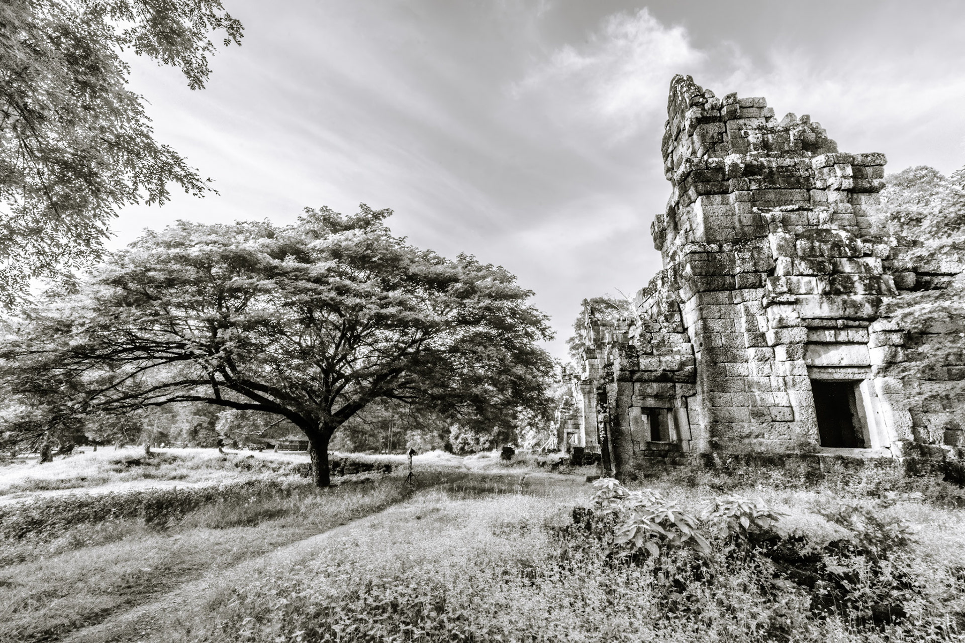 william little - Bon Om Touk