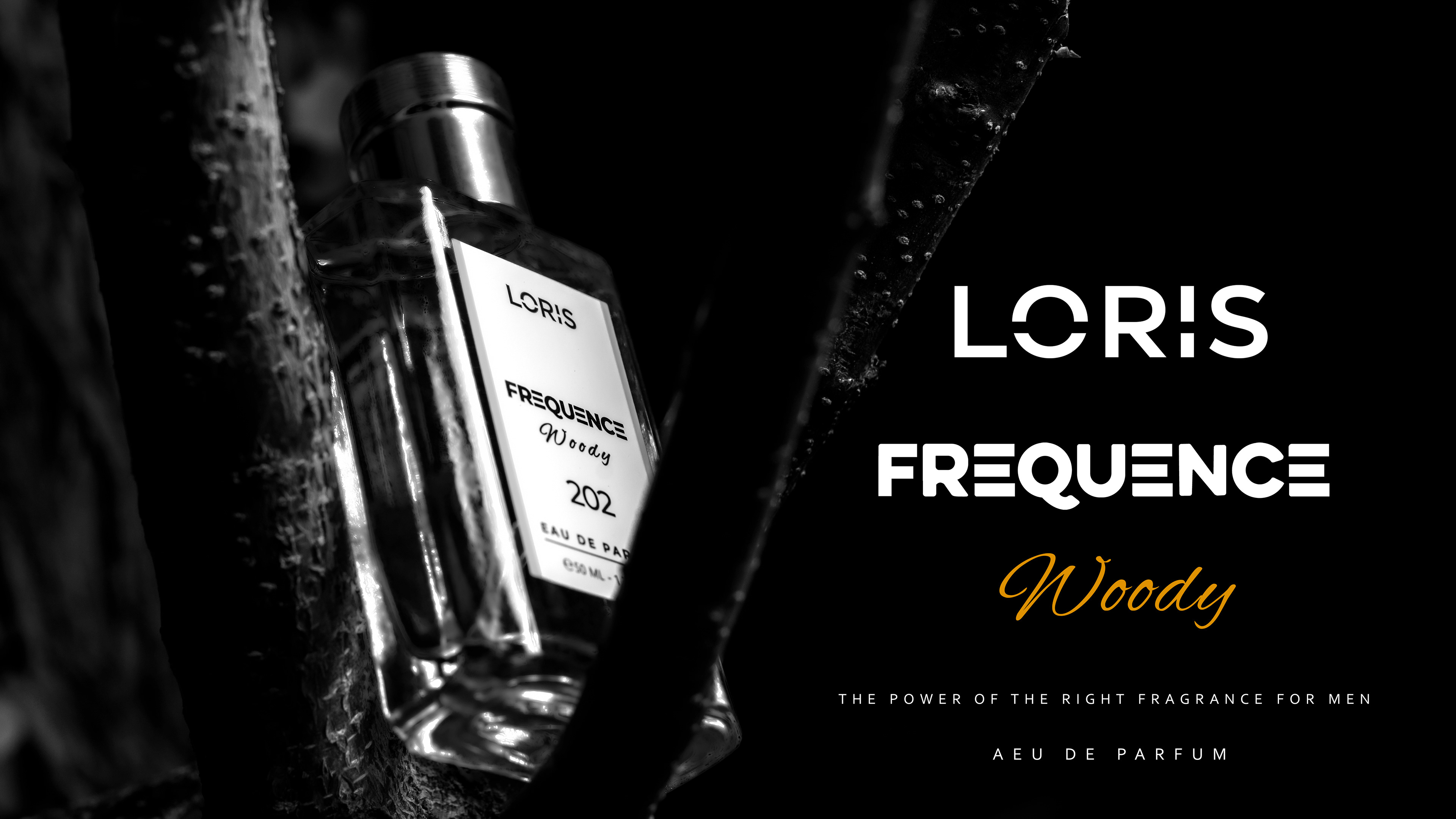 Hashem Dagestani - Loris Perfume