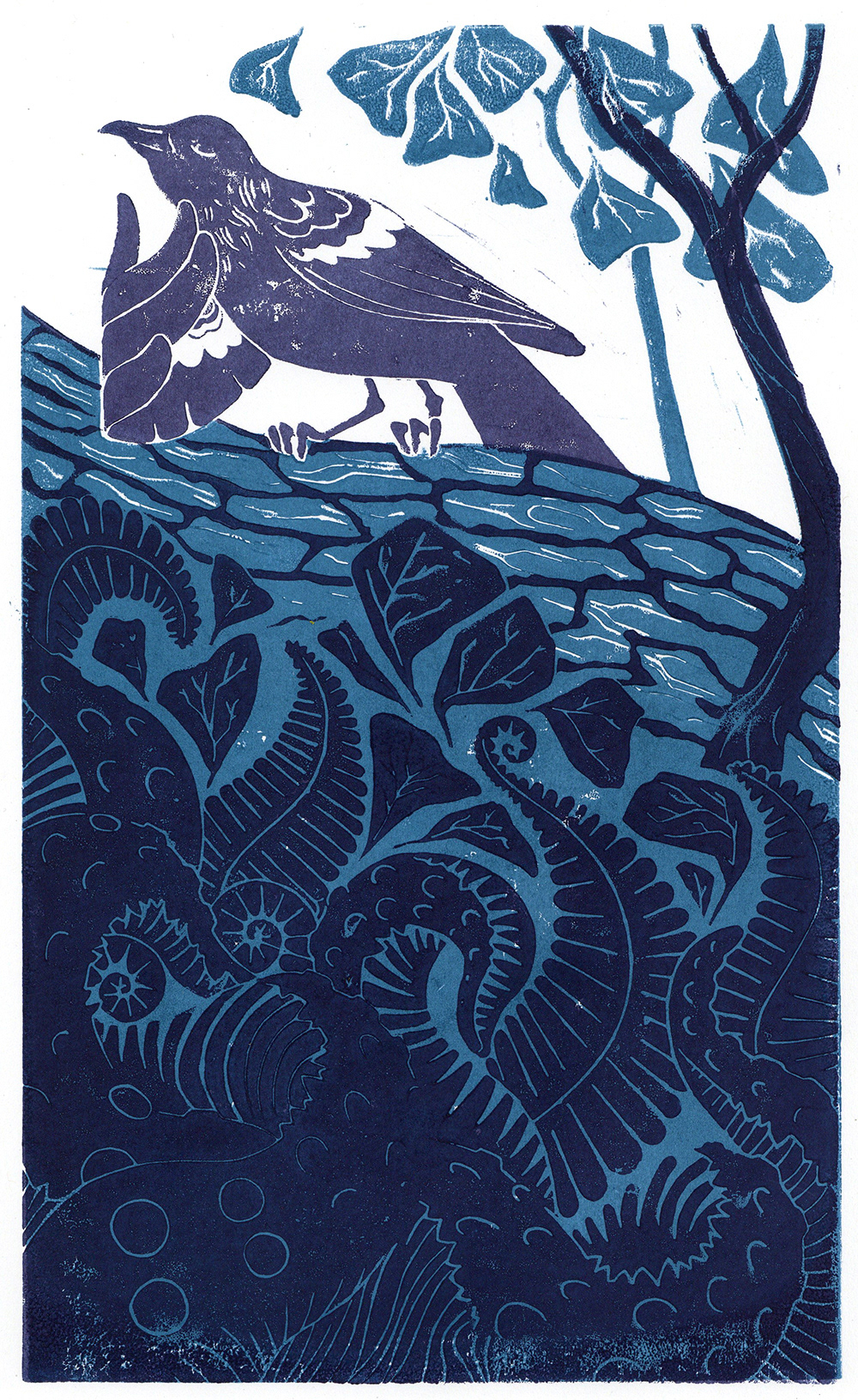 paul picard - Tout sur le Tūī