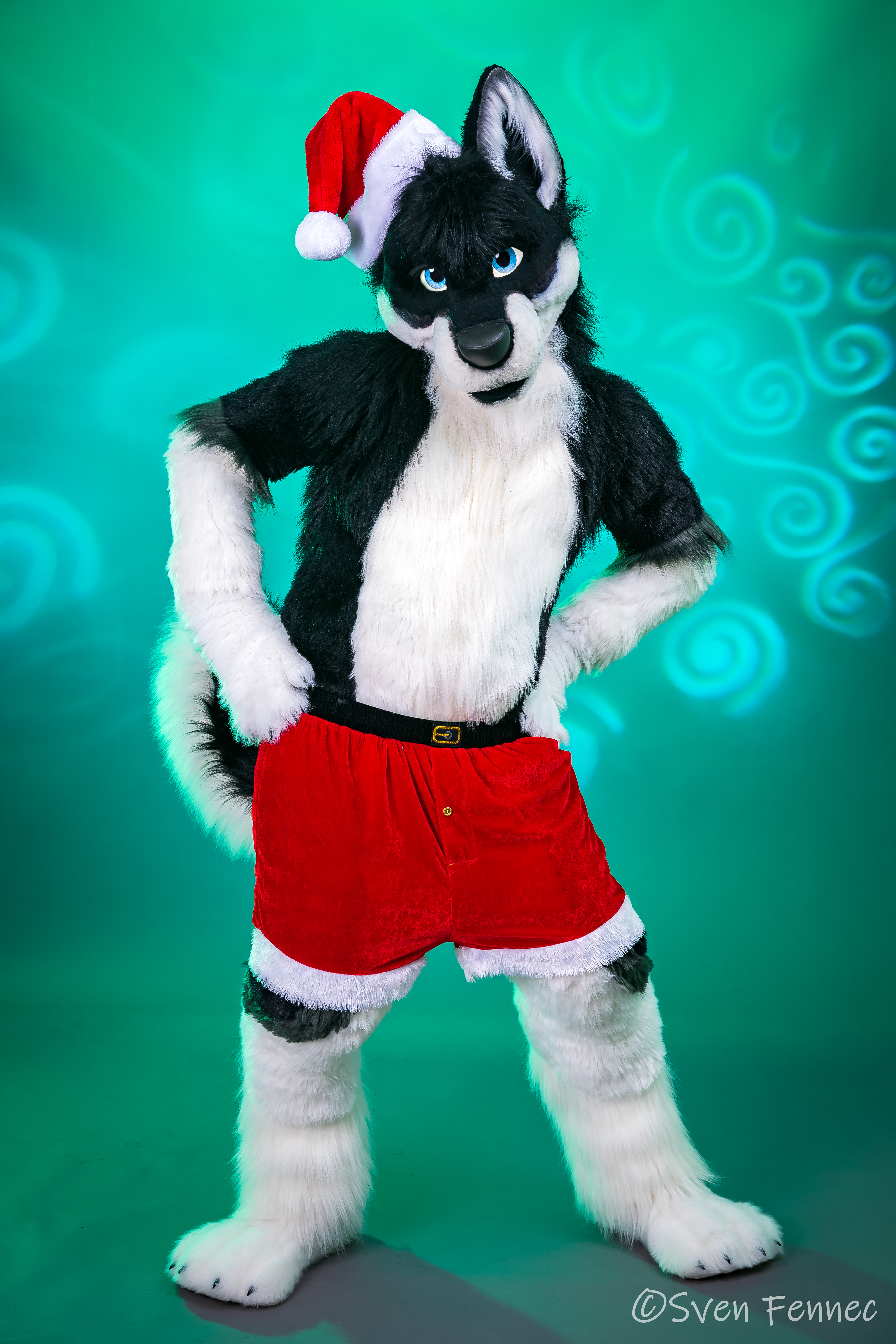 Sven Fennec Photography - 2018-2020 Studio Fursuit Portraits