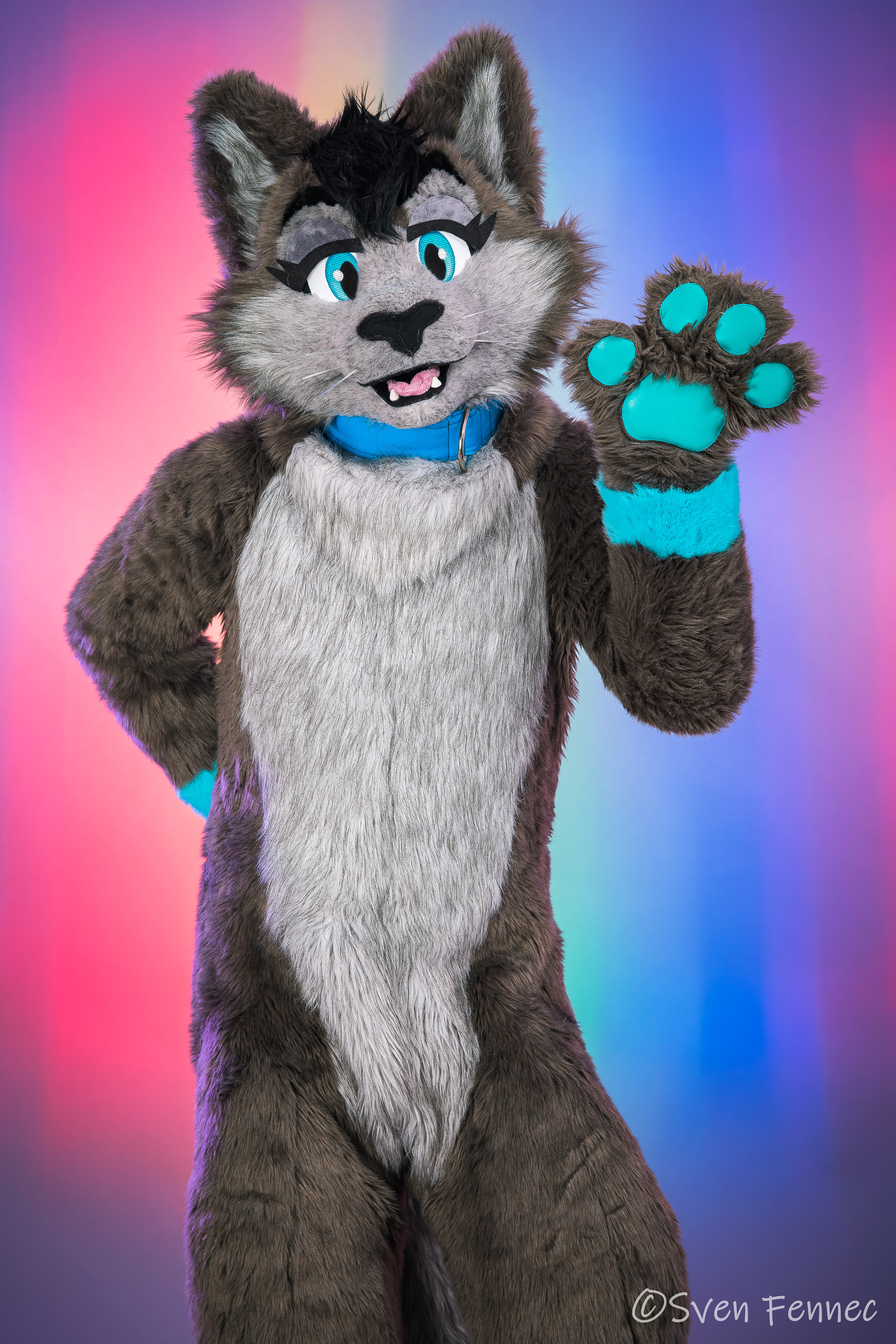 Sven Fennec Photography - 2018-2020 Studio Fursuit Portraits