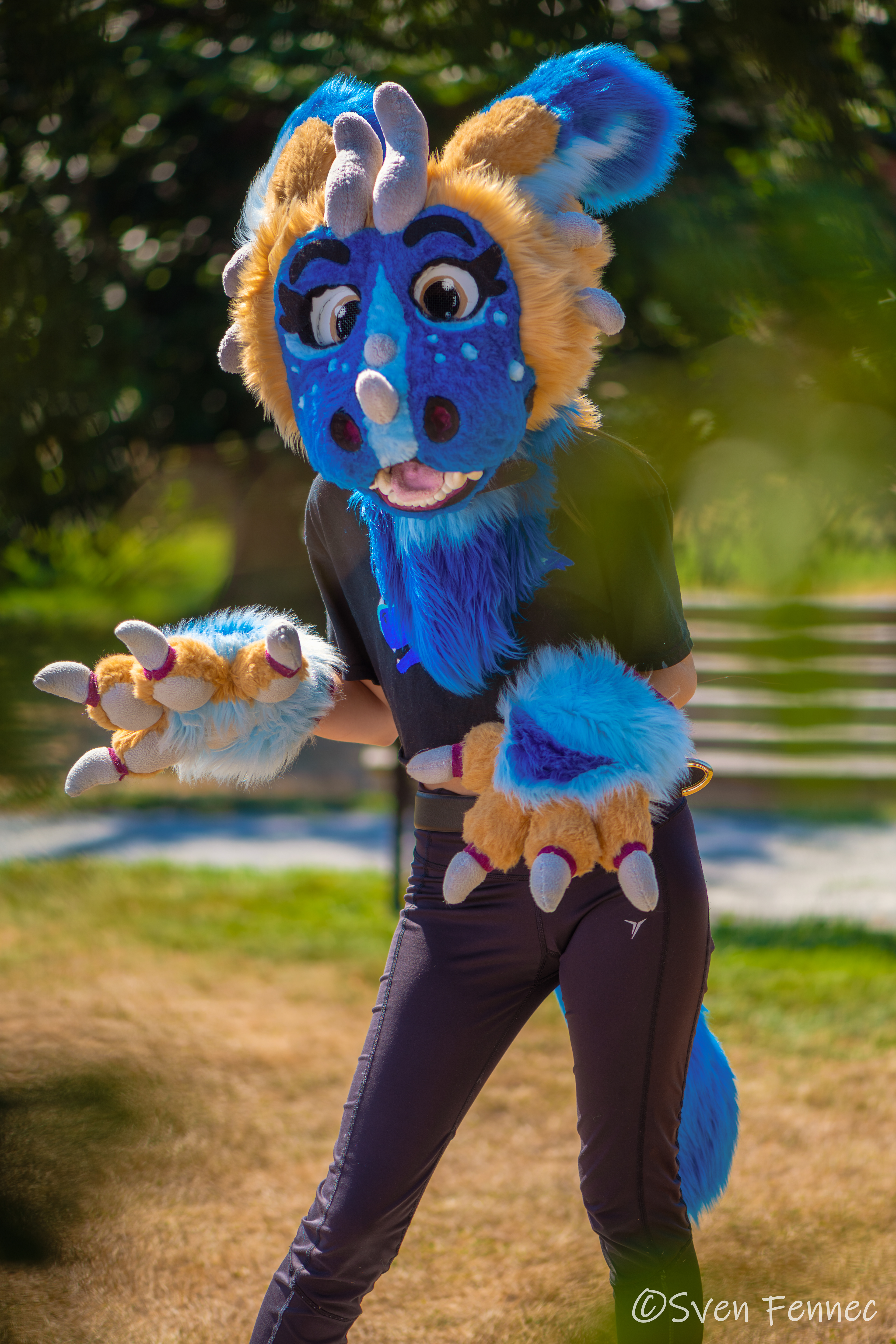 Sven Fennec Photography - Fursuit Portraits