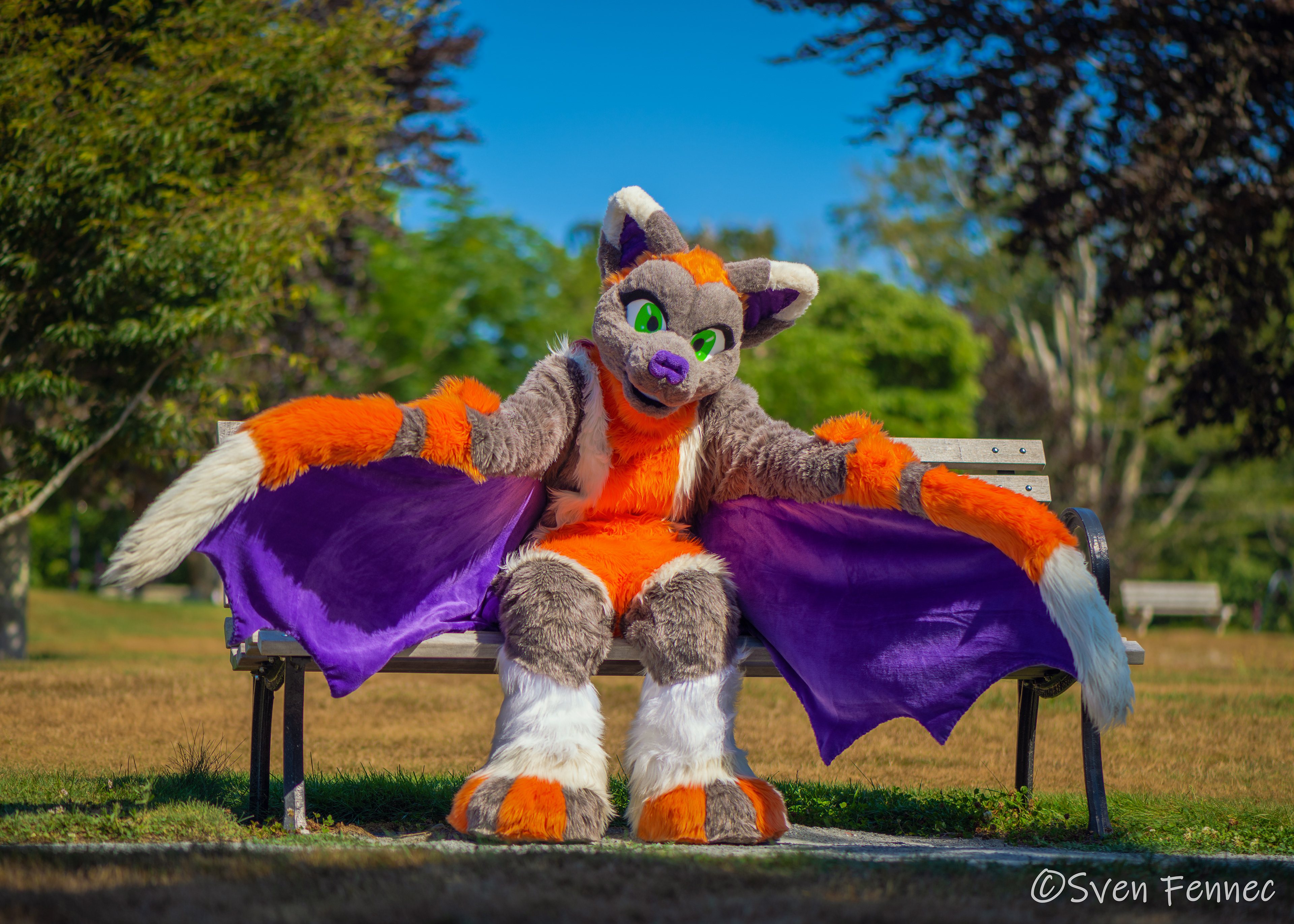 Sven Fennec Photography - Fursuit Portraits