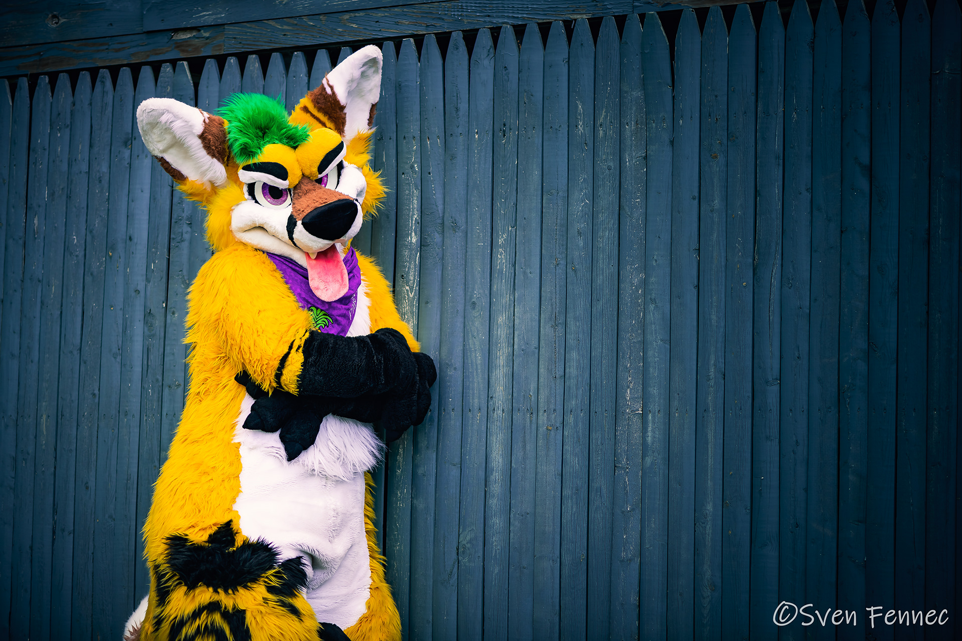Sven Fennec Photography - Fursuit Portraits