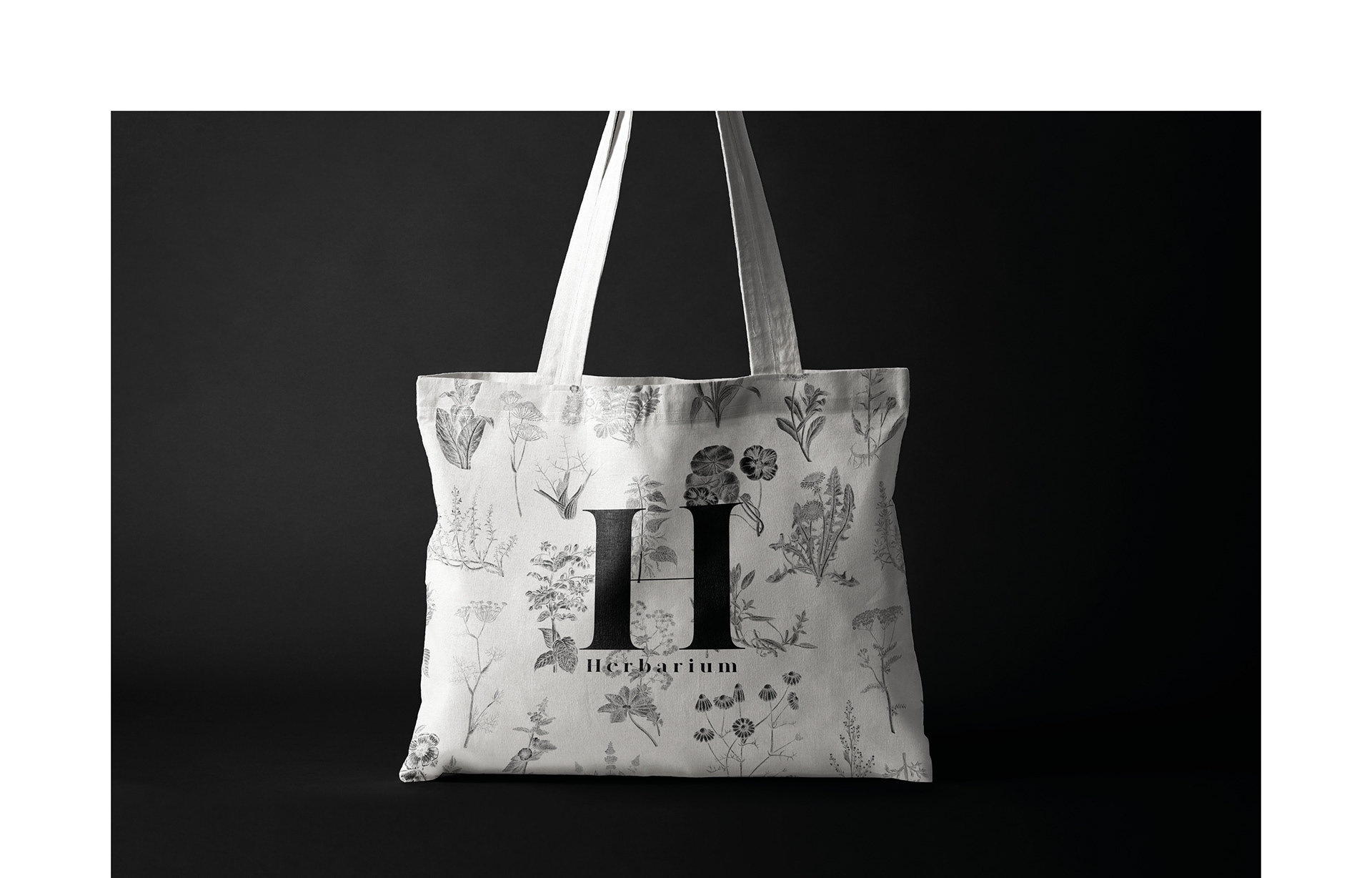 Cathy Thill - HERBARIUM