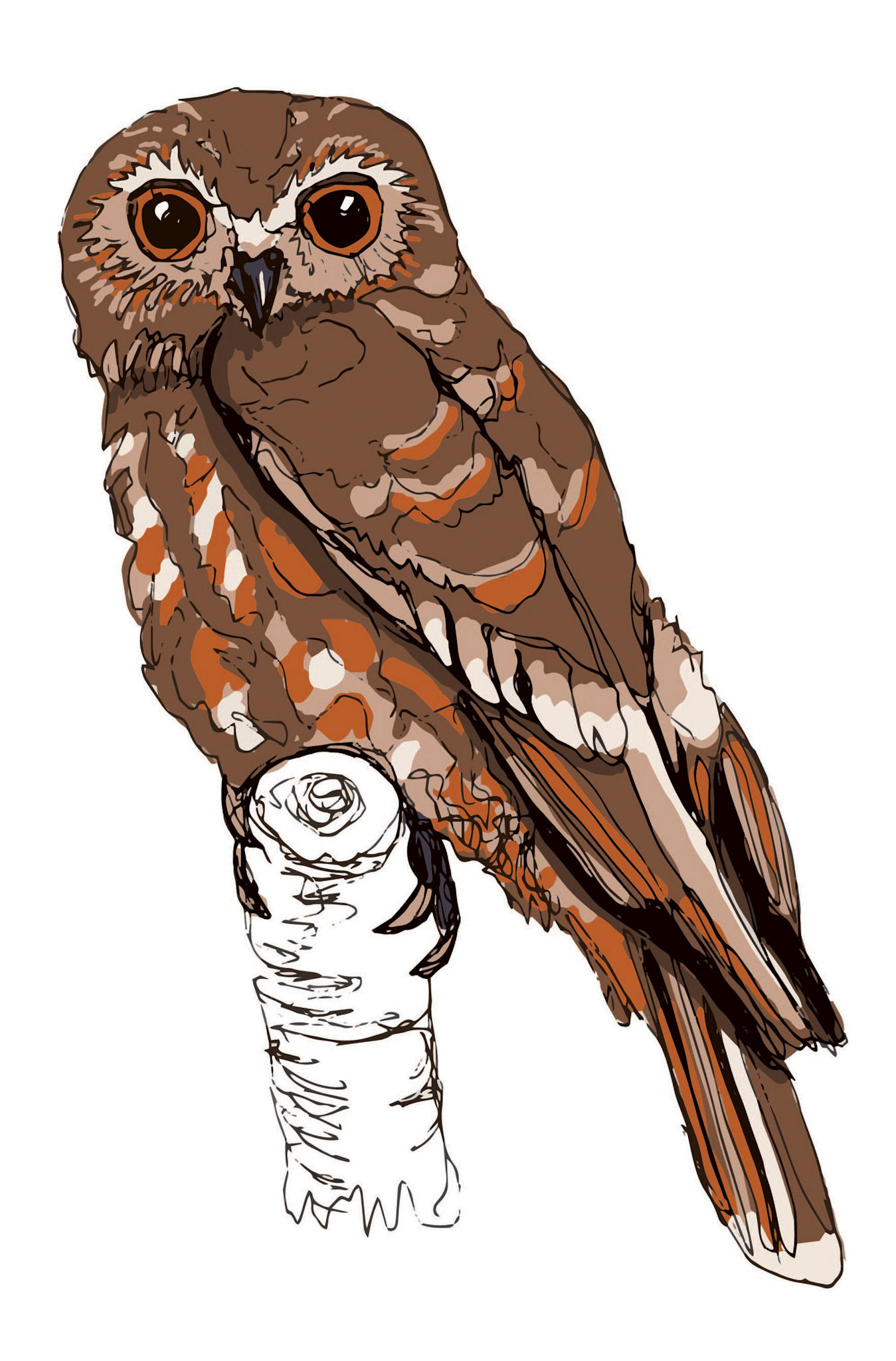 Madeleine Emily Ingham - digital colour sketch