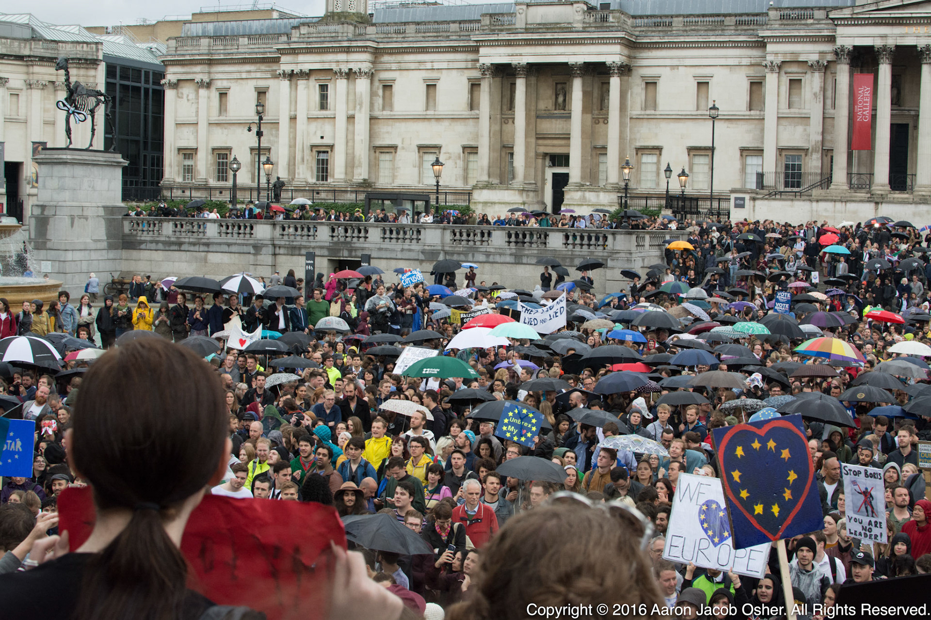 Aaron Osher - London Stays Protest