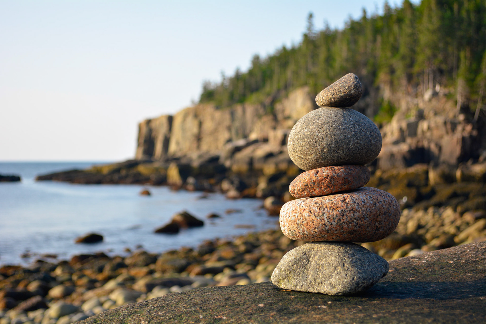 Amy Sword - Photography