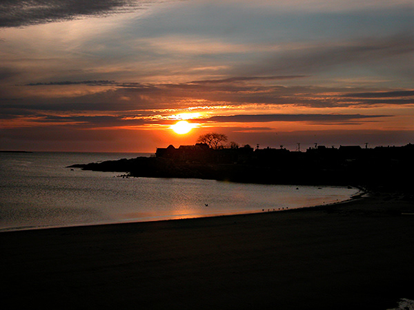 Laura Savidge - New England – Cape Ann and Cape Cod