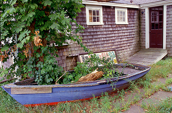 Laura Savidge - New England – Cape Ann and Cape Cod