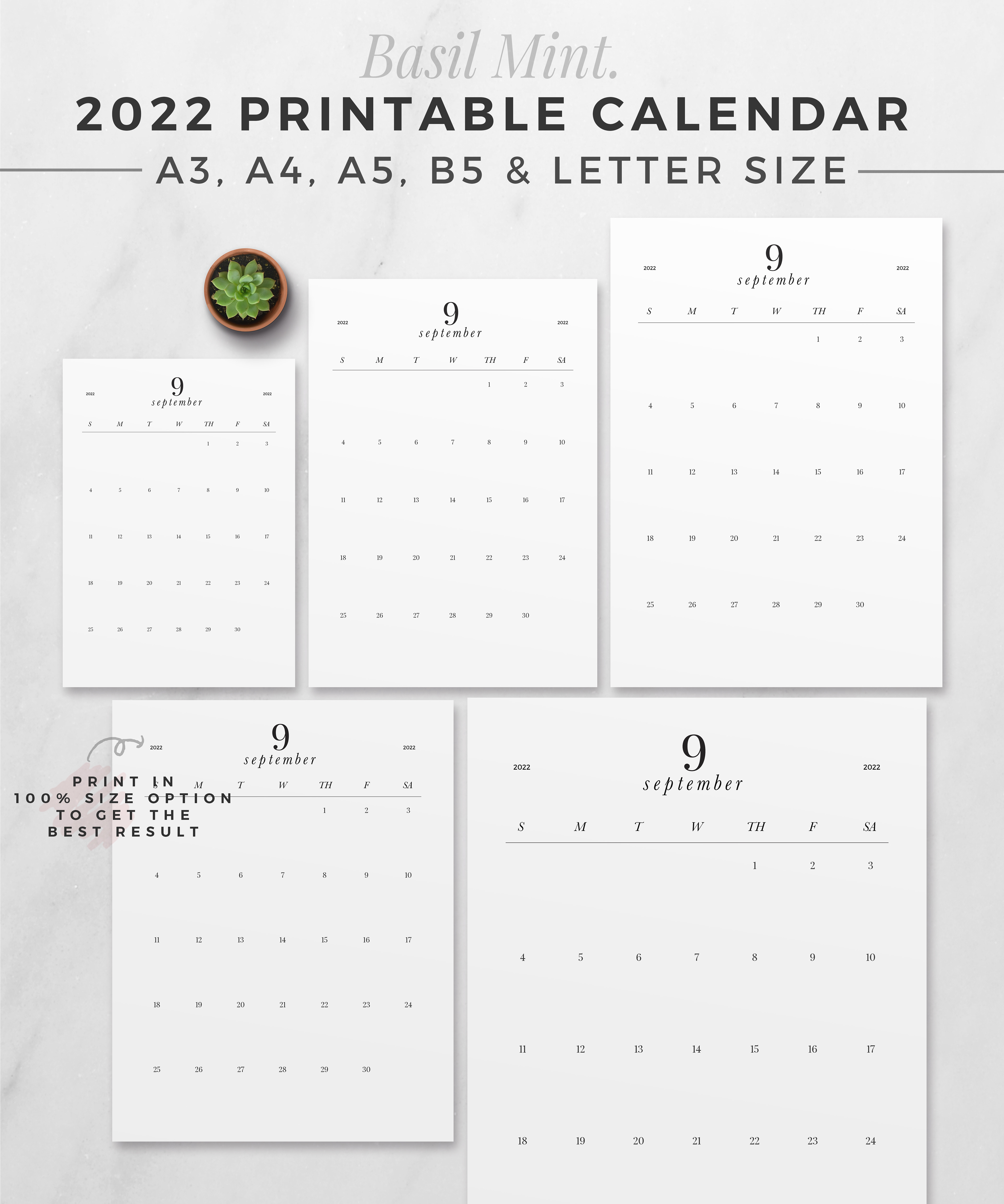 Paperly Planners - Beautiful, Productive. - 2022 BASIL MINT Calendar