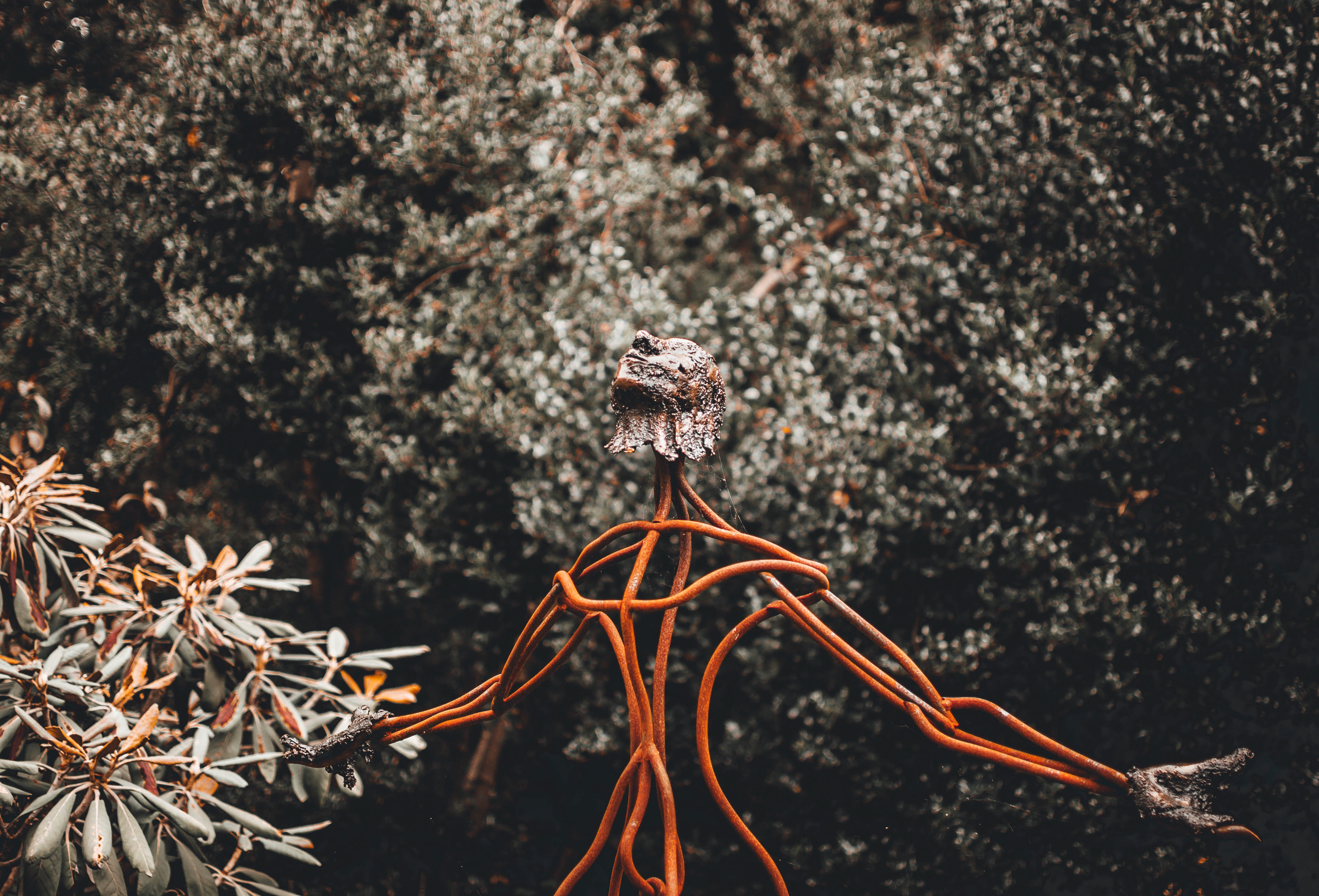 Tom Lockwood Photography