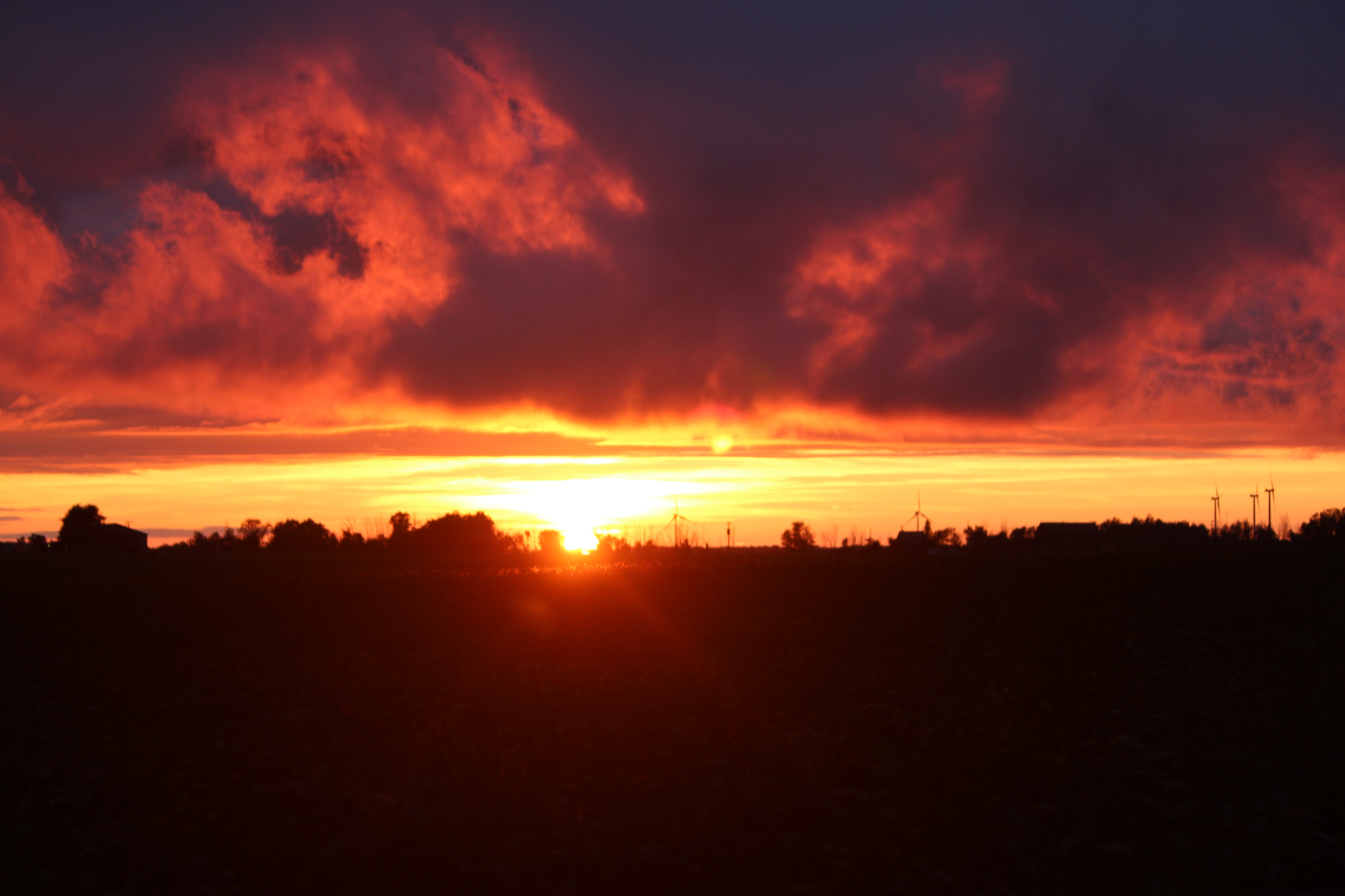 Hailey Jackson - Nature