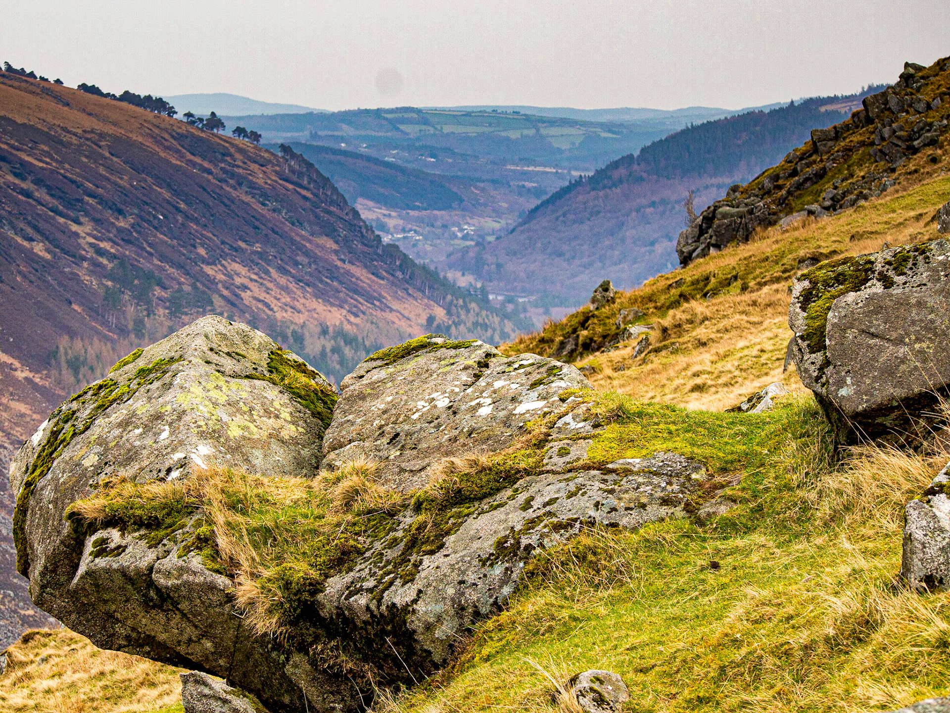 Adrian Redmond Photography - Dublin/Wicklow mountains