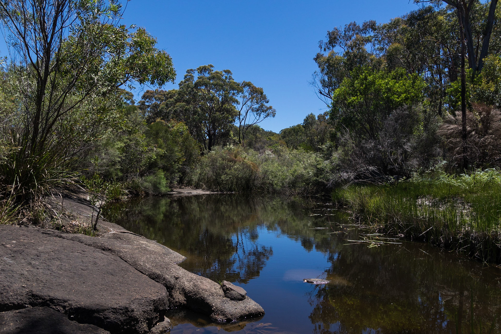 Trevor Martin - Landscapes