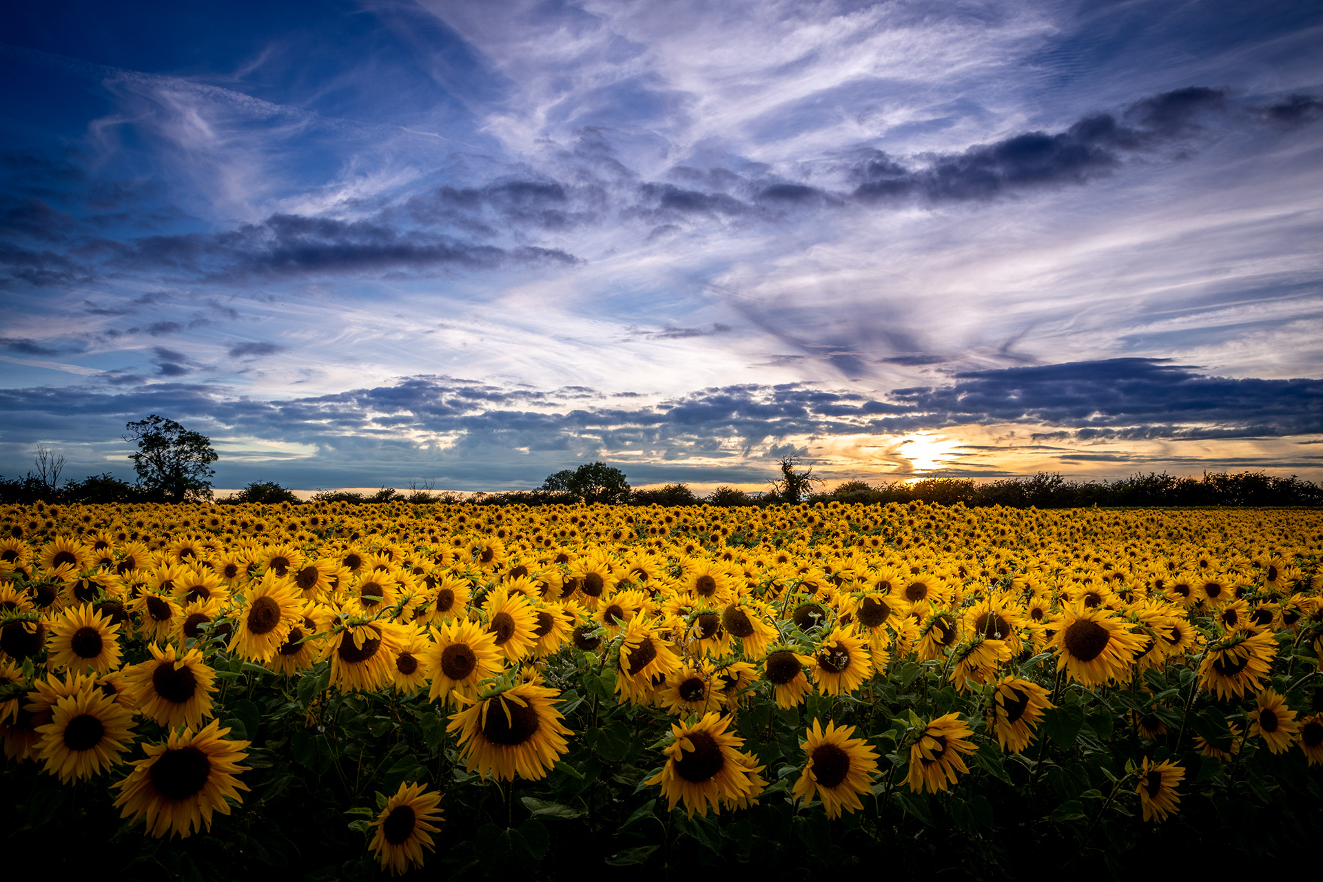 Stuart Rouse Landscape & Aviation Photography - BLOG 2020