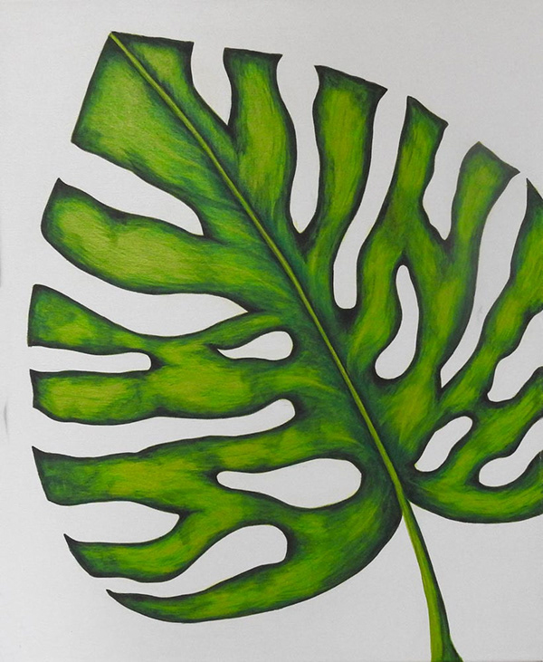 Deborah FitzGerald - Paintings