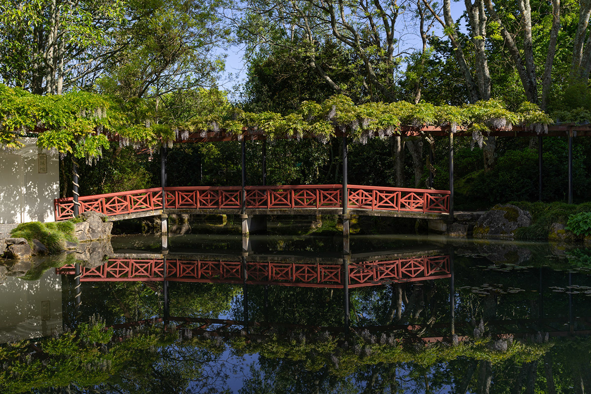 Will Mays Photography - Hamilton Gardens, 2019