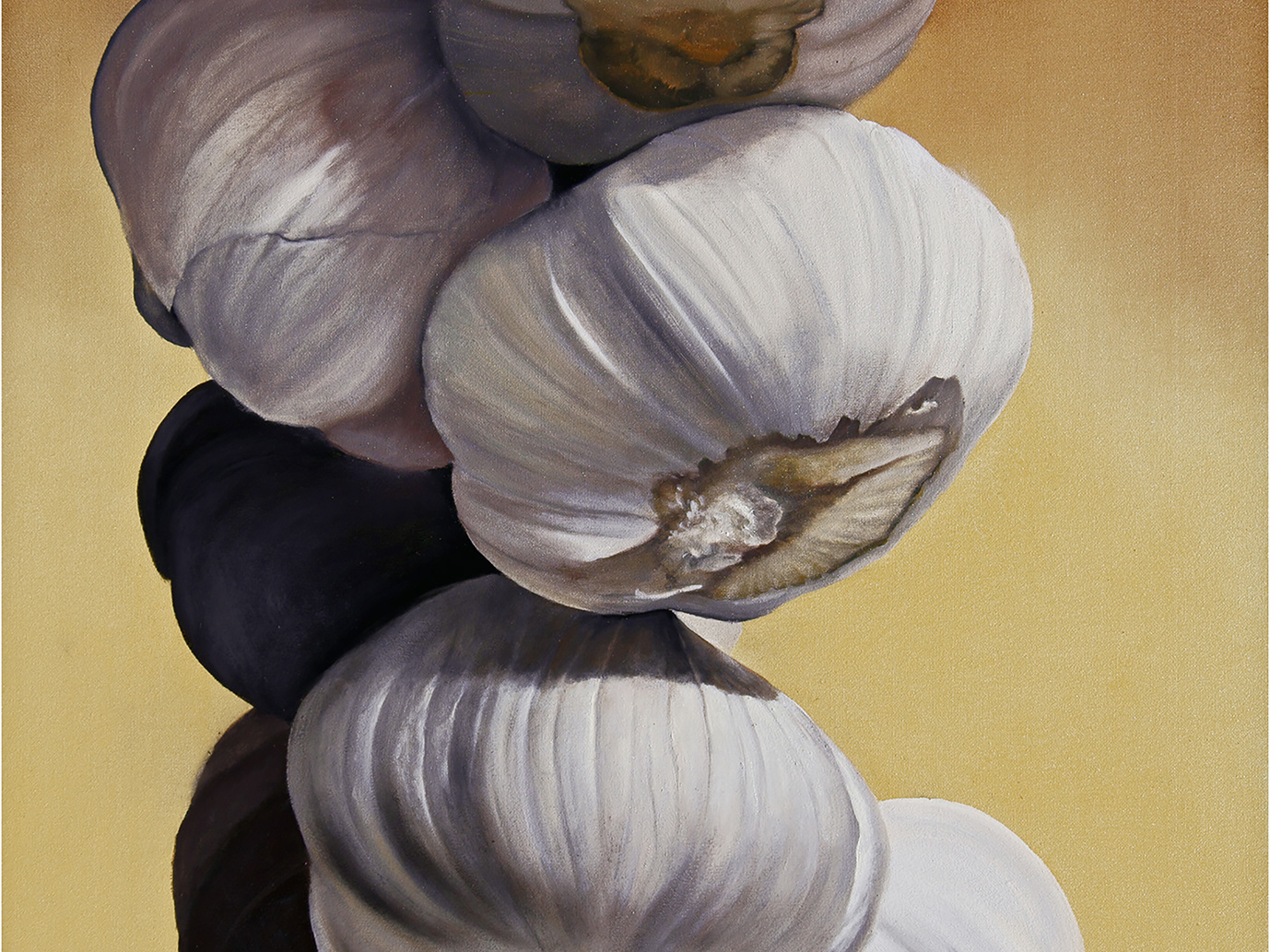 Matthew Bates - Garlic Still Life
