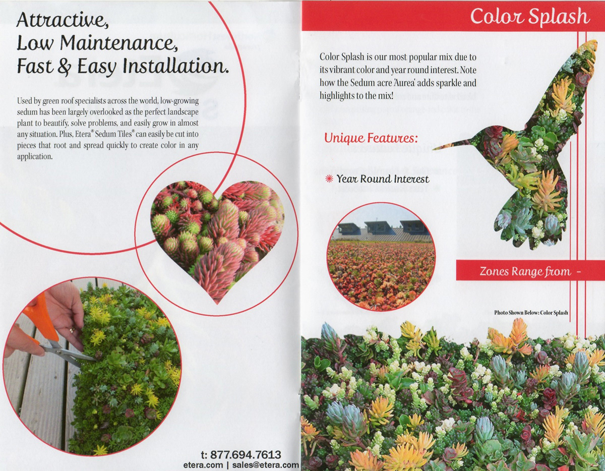 Rebecque Asher Graphic Design and Illustration - Horticultural Brochure ...