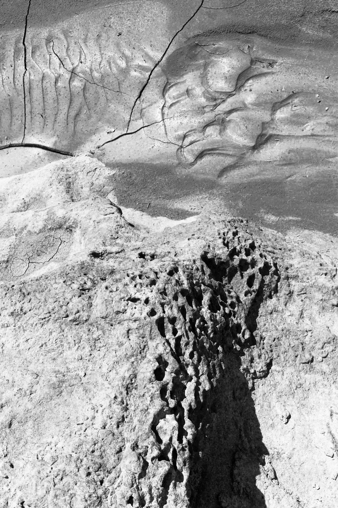 Stephen B. Hager | sbh-naturestudies - naturescapes