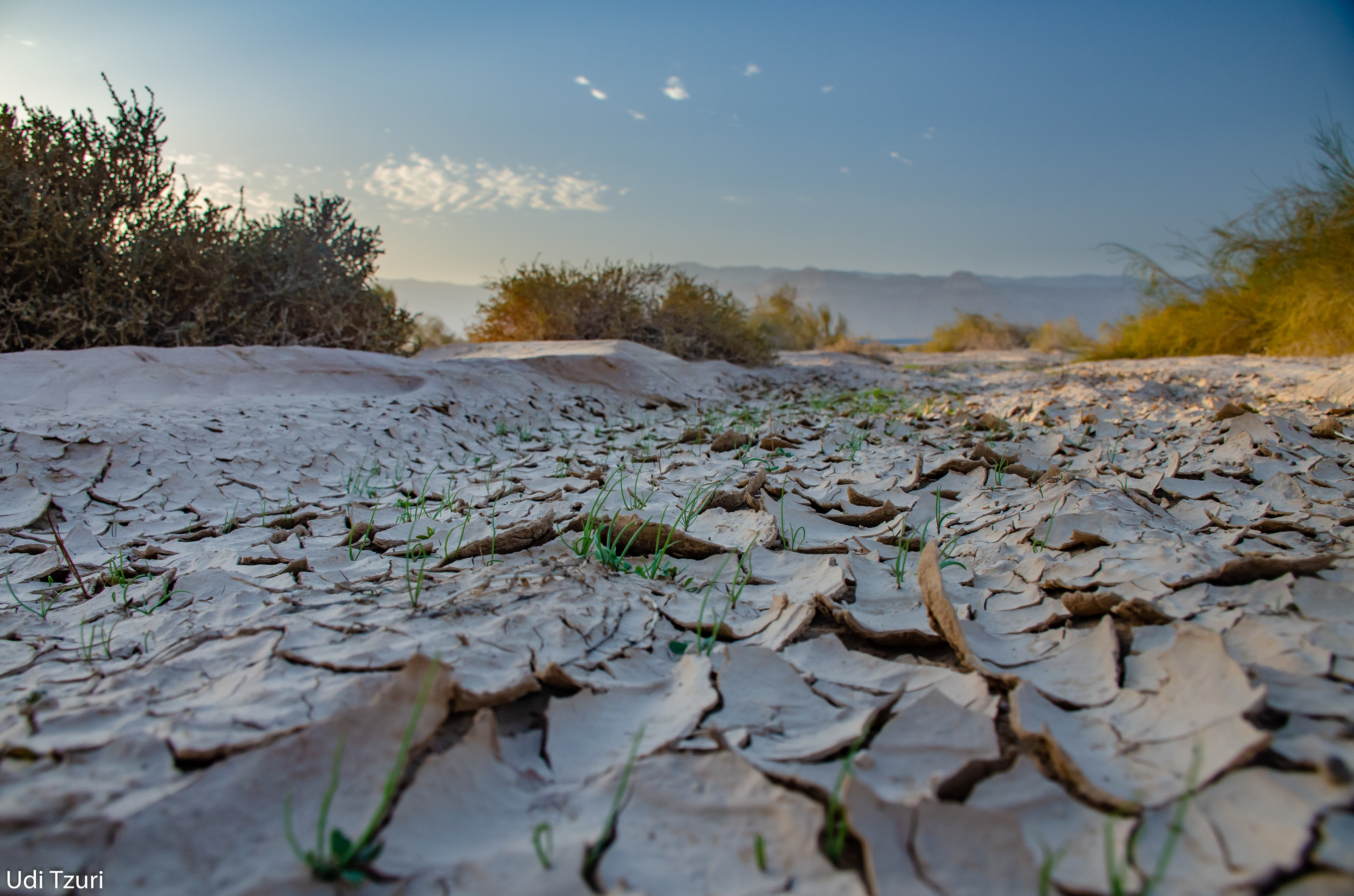 Udi Tzuri - The Arava Desert