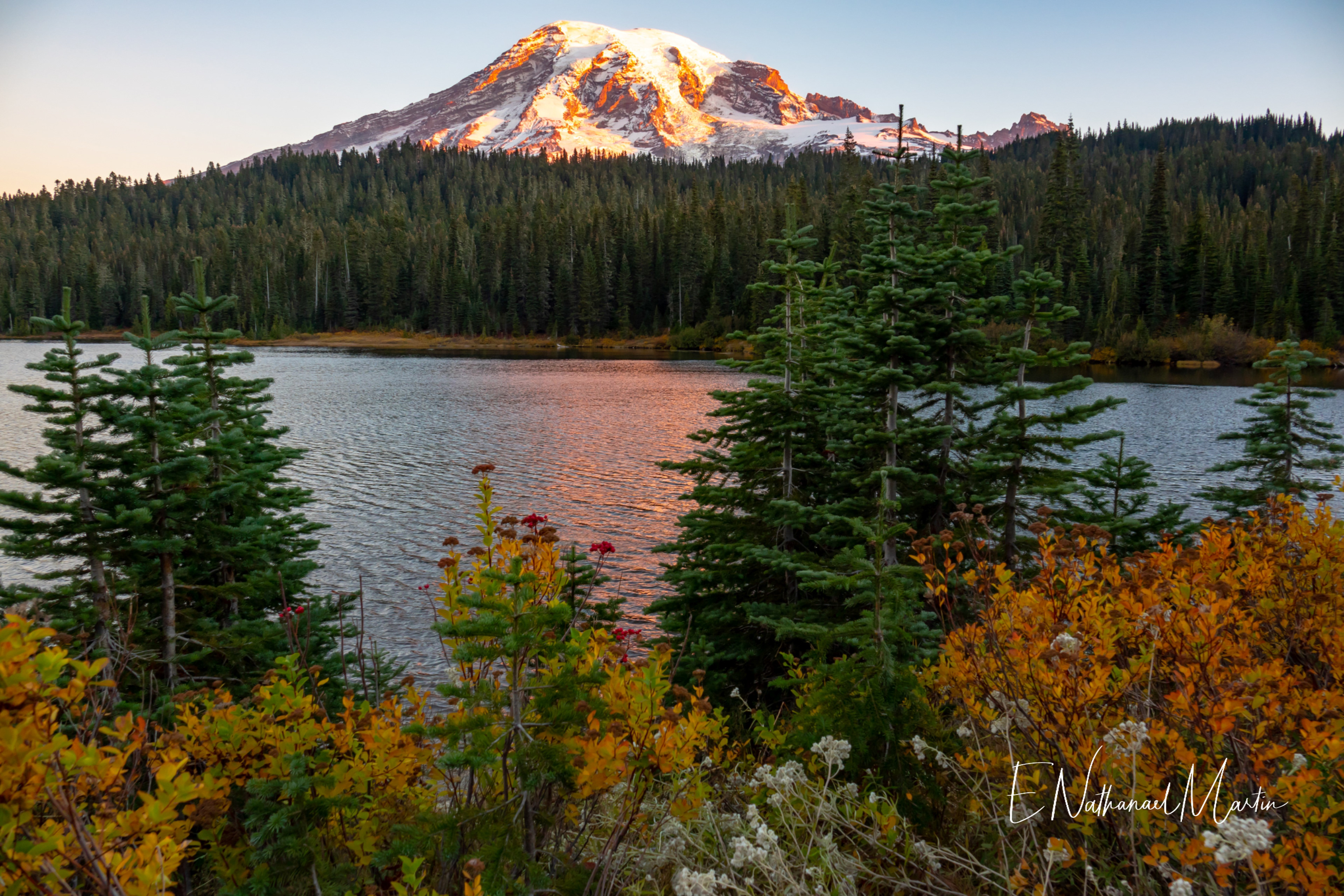 Nature by Nat Photography - Rainier Fall Colors