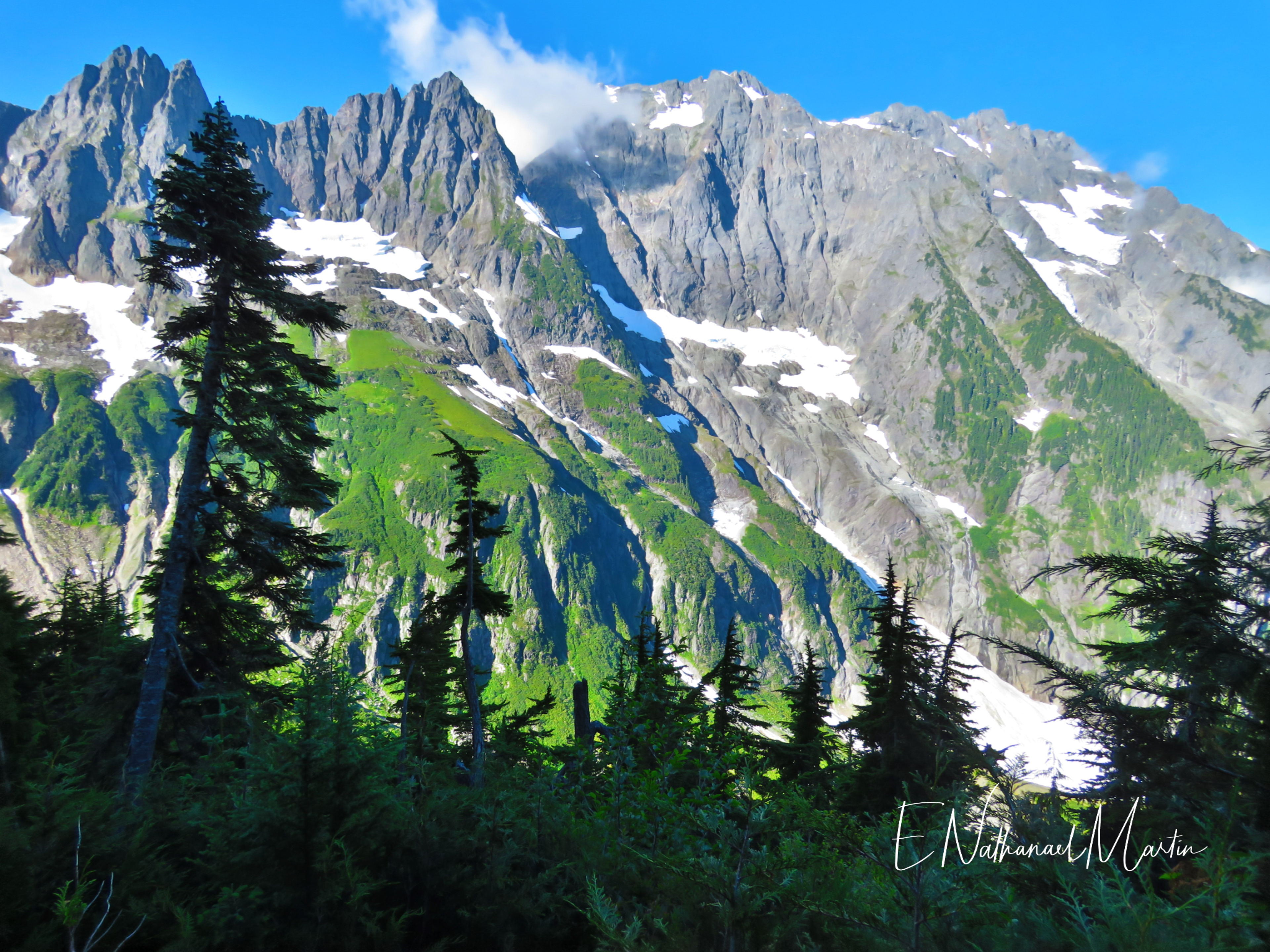 Nature by Nat Photography - North Cascades National Park 2016