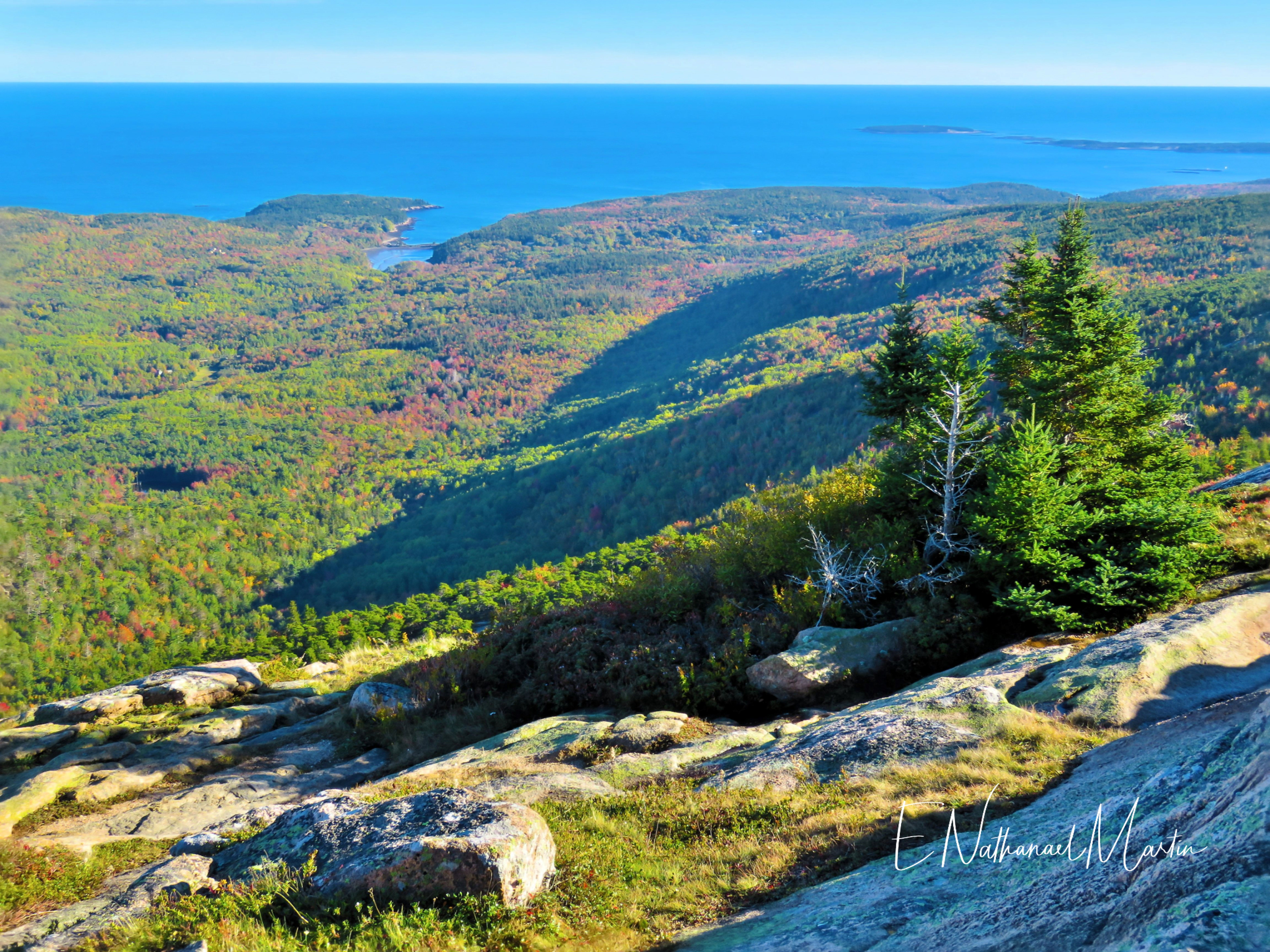 Nature by Nat Photography - Acadia National Park