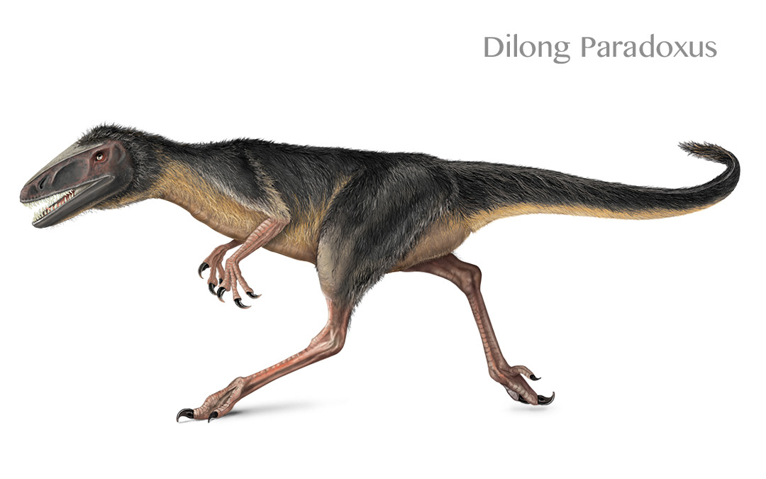 Christine McCabe - extinct animals