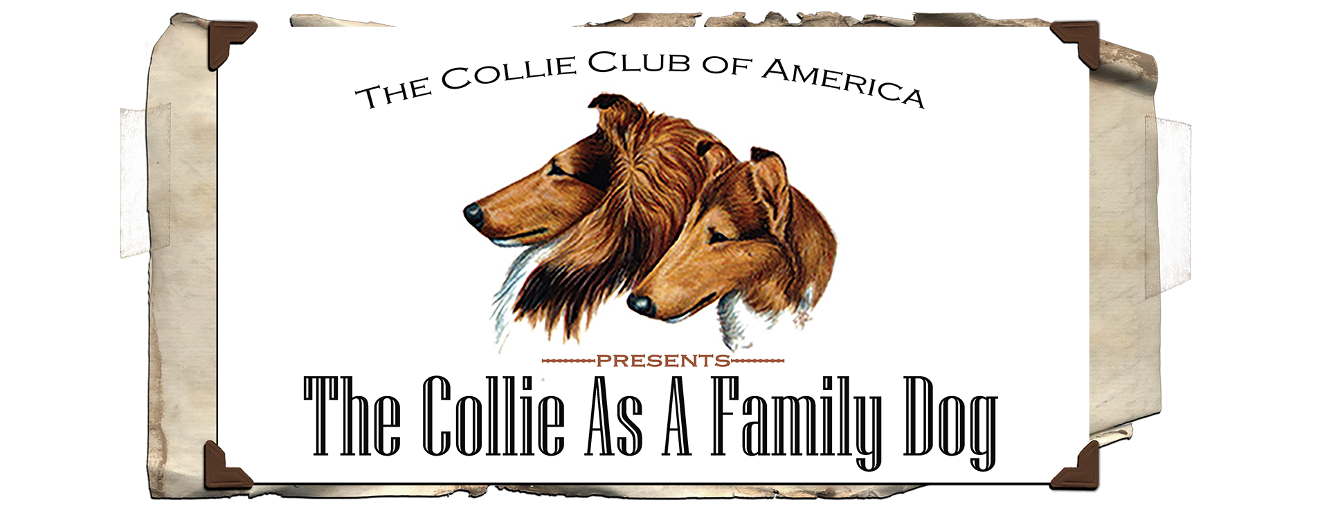 Collie Club of America - Collie As A Family Dog