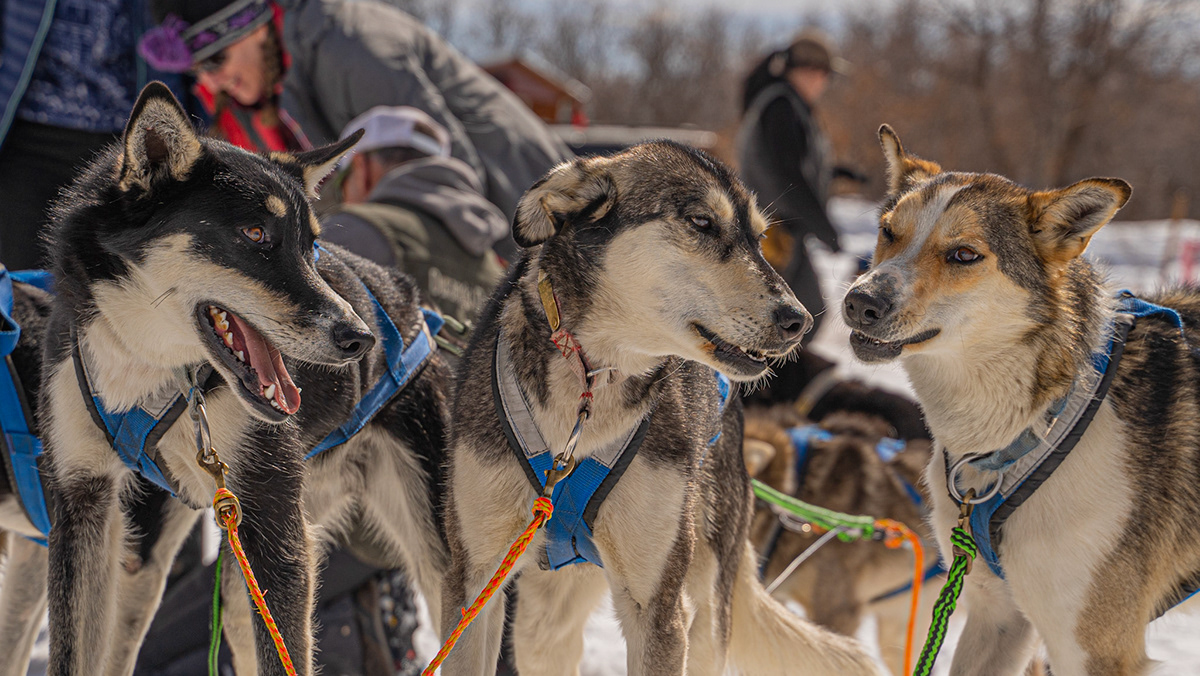 Grumpyhighlander Mountain , Landscape and Adventure Photography ...