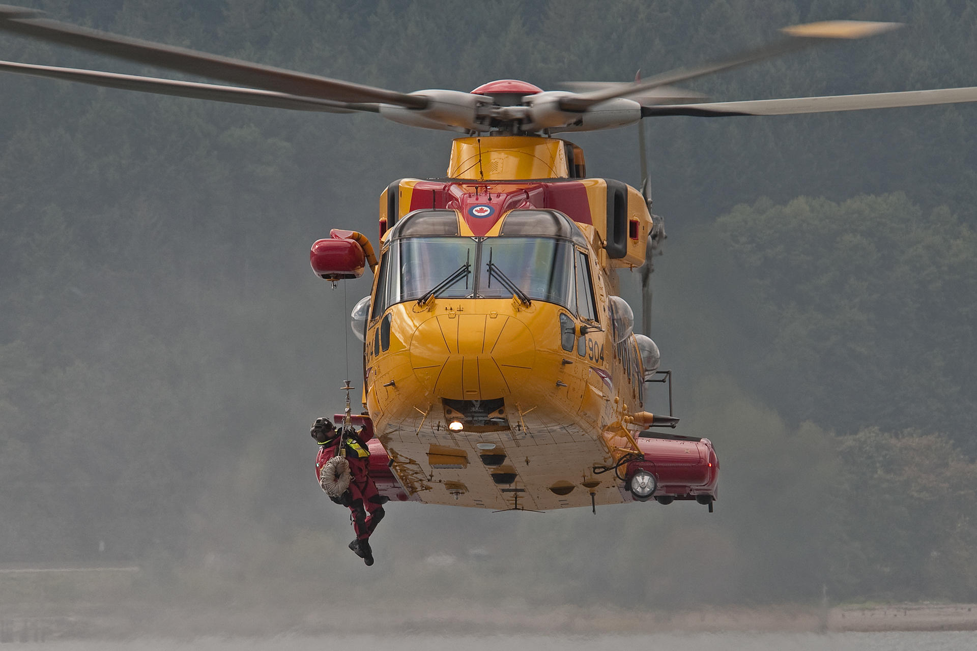 HAZER'S FLIGHTLINE - CH-149 CORMORANT