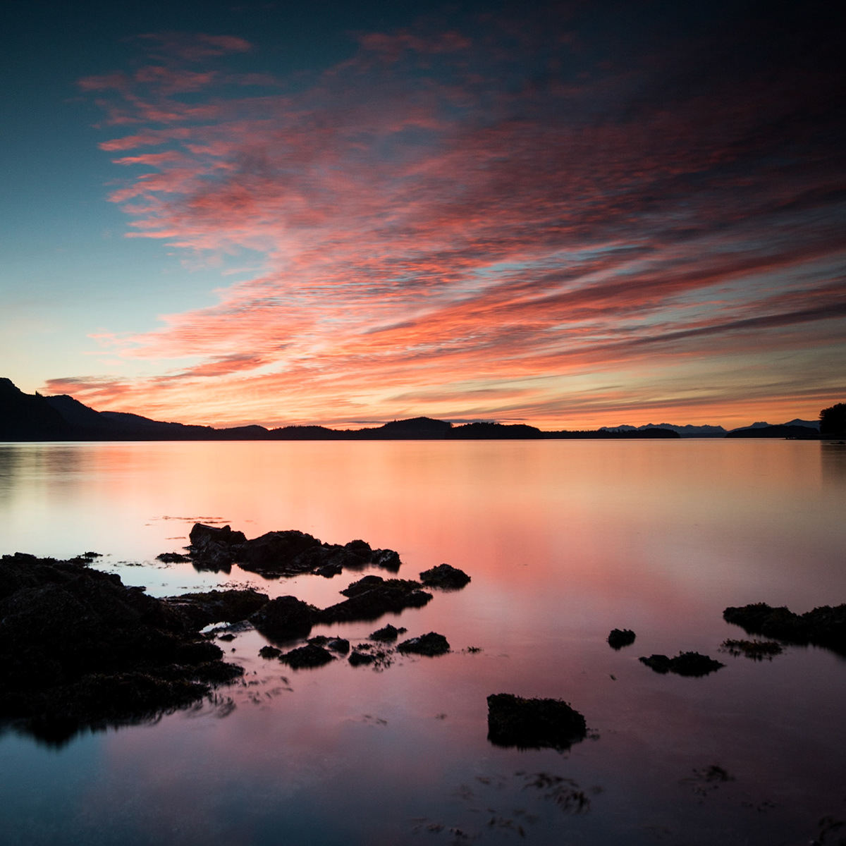 Ian Johnson - Landscapes