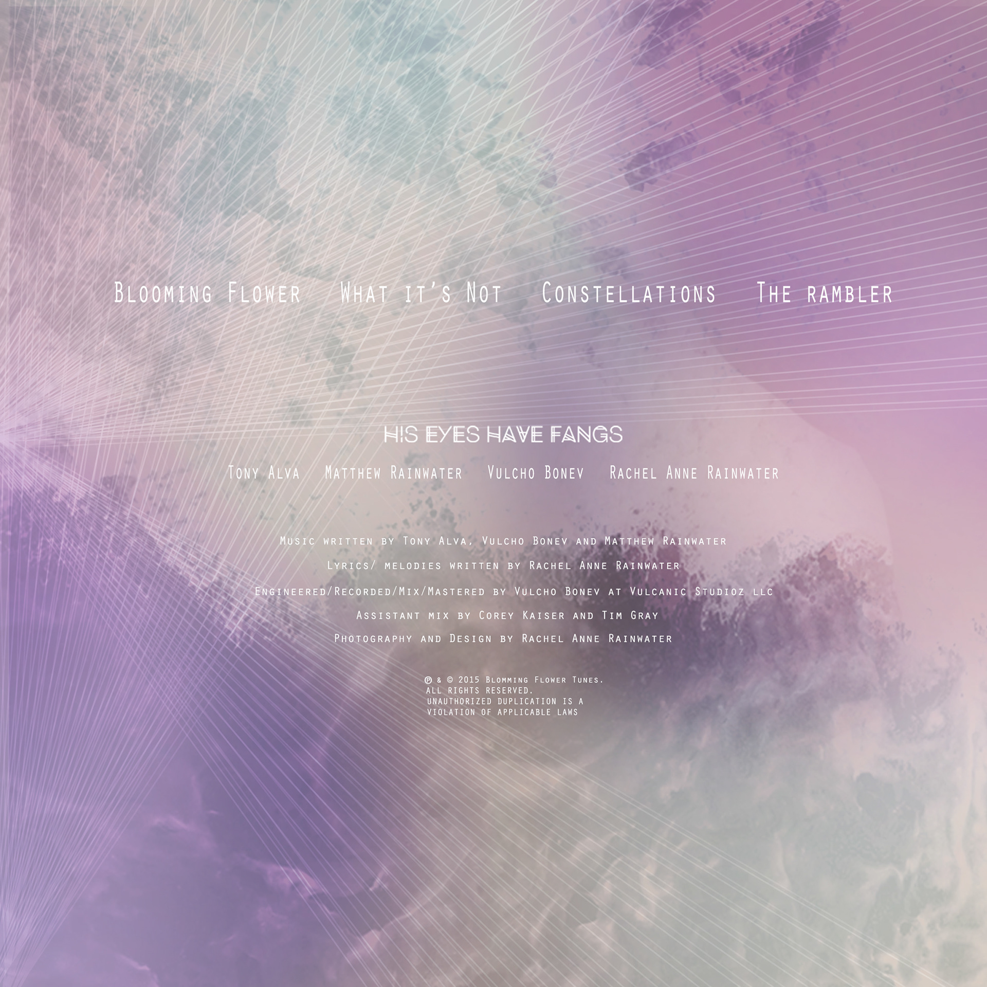 Rachel Rainwater - VINYL PACKAGING DESIGN