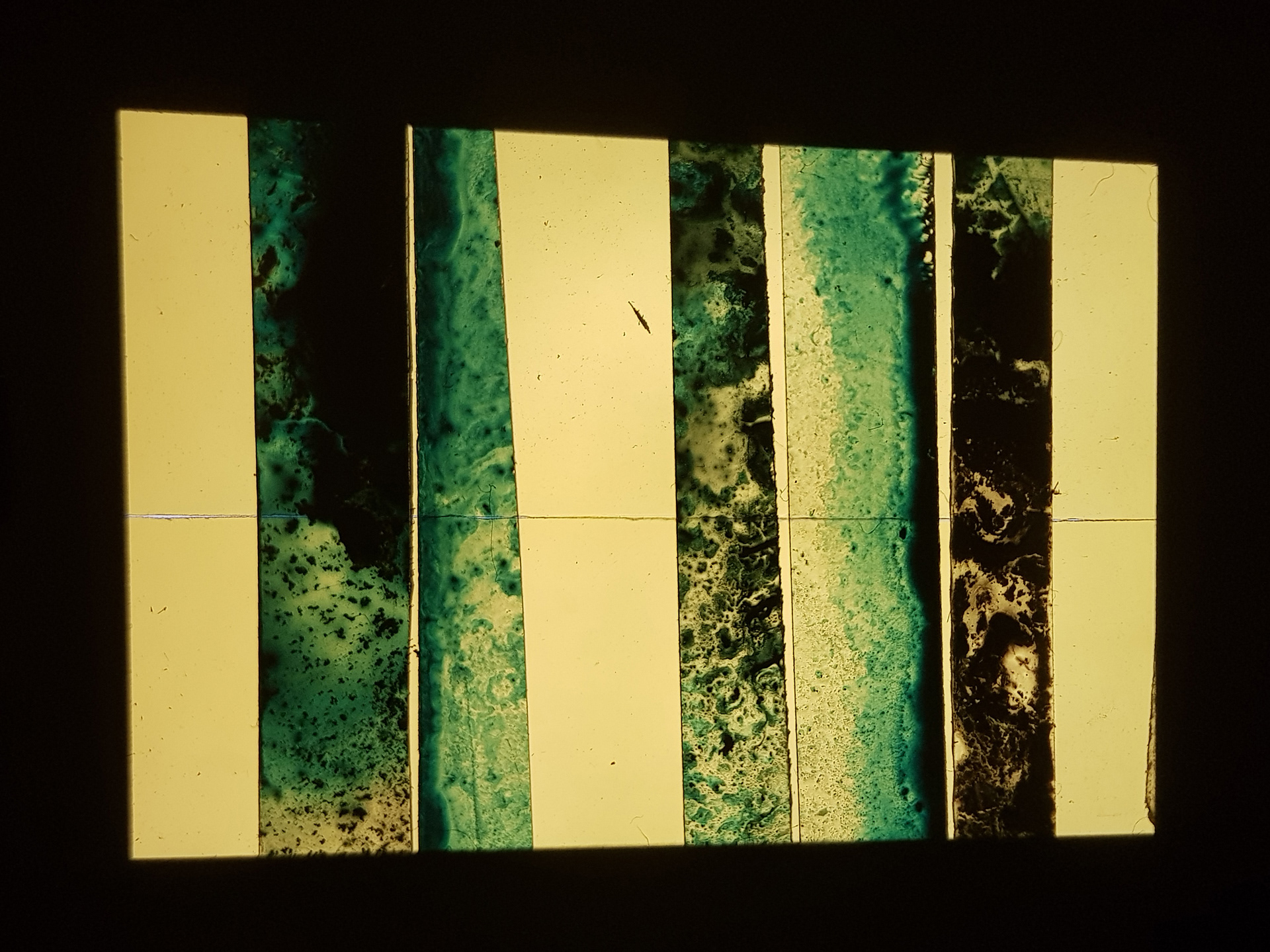 Sally Jennings - Projections
