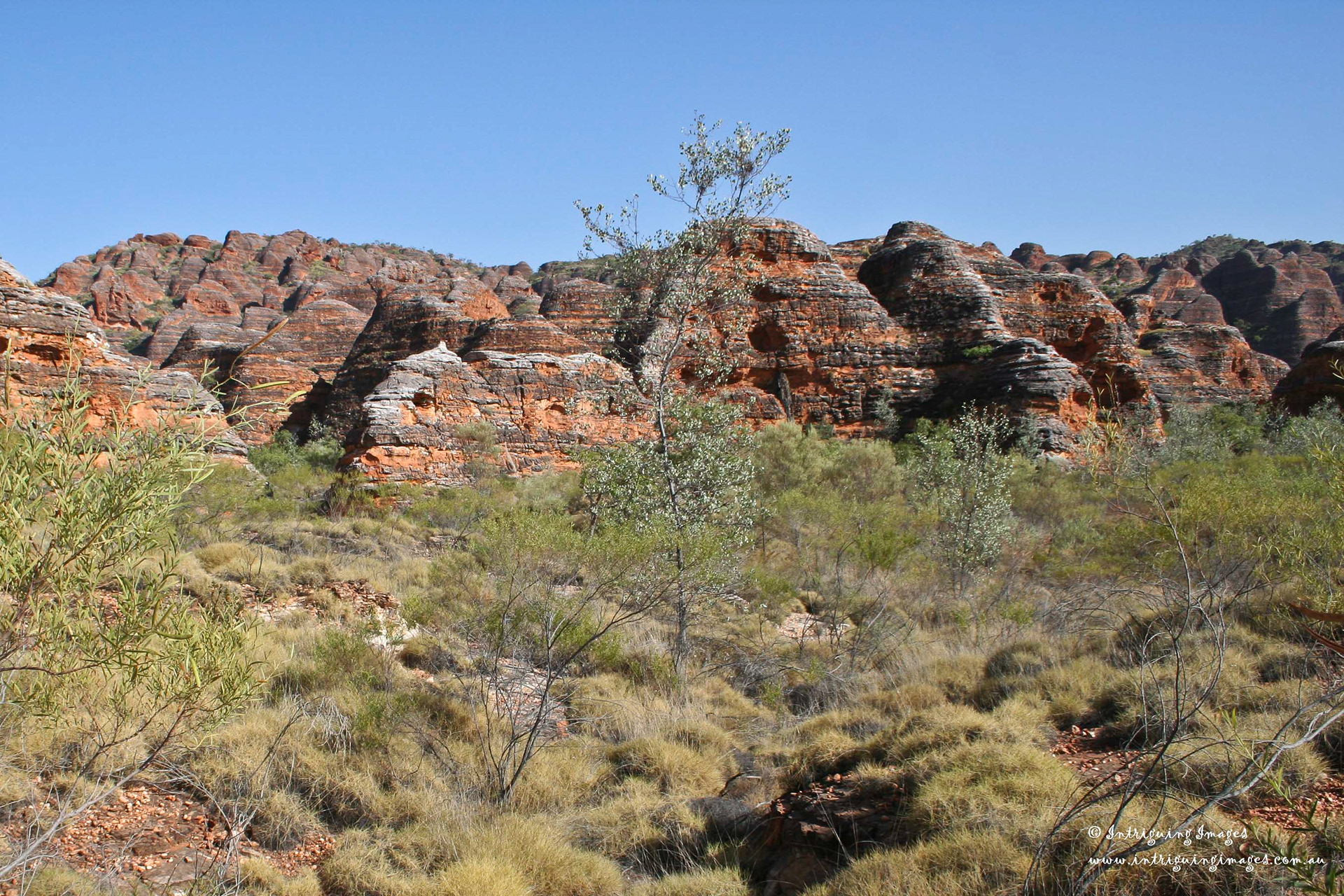 Intriguing Images - Kimberley region, Western Australia