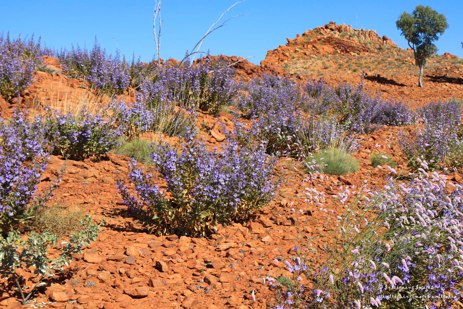 Intriguing Images - Pilbara region, Western Australia