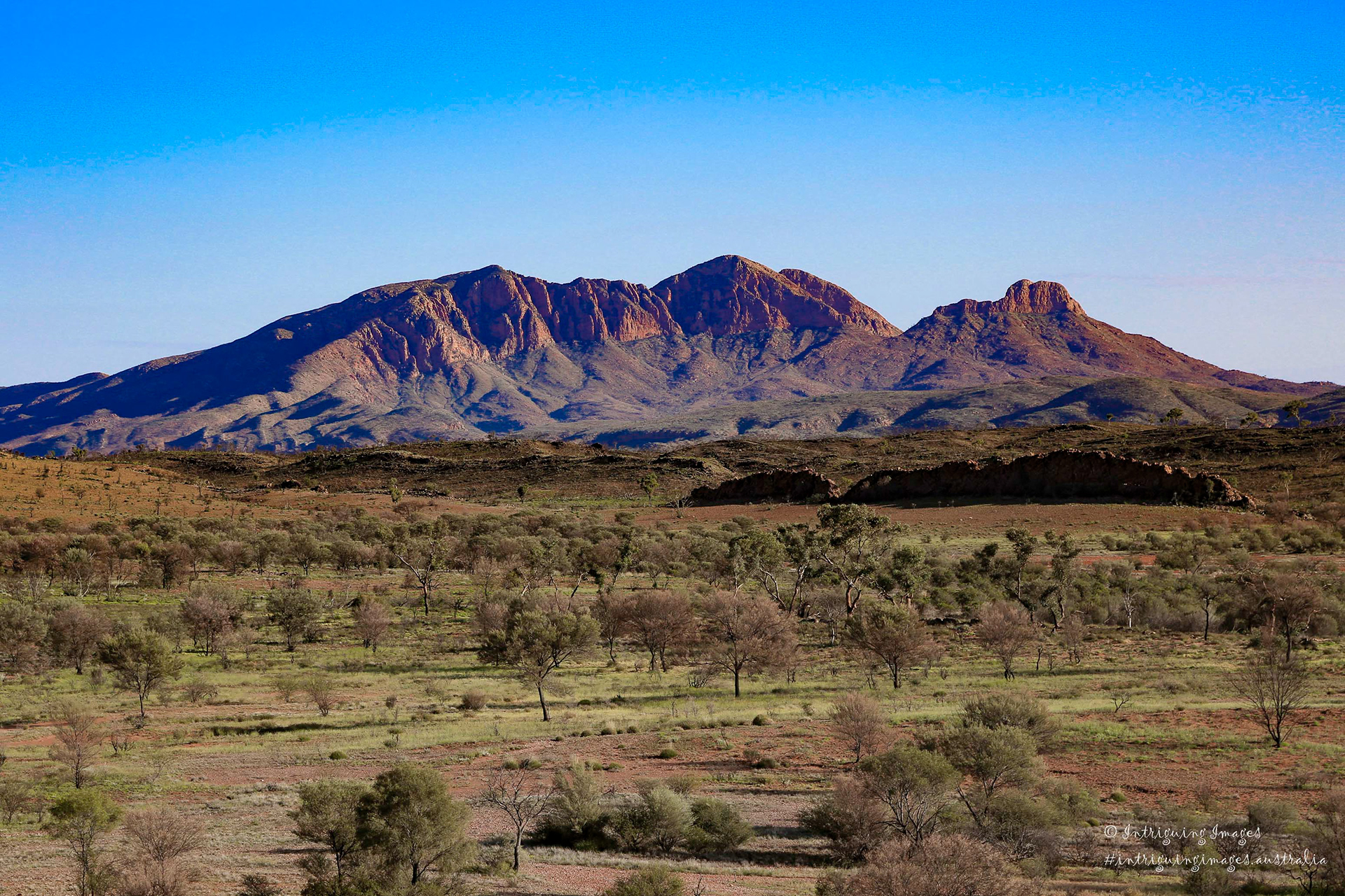 Intriguing Images - Red Centre, Northern Territory