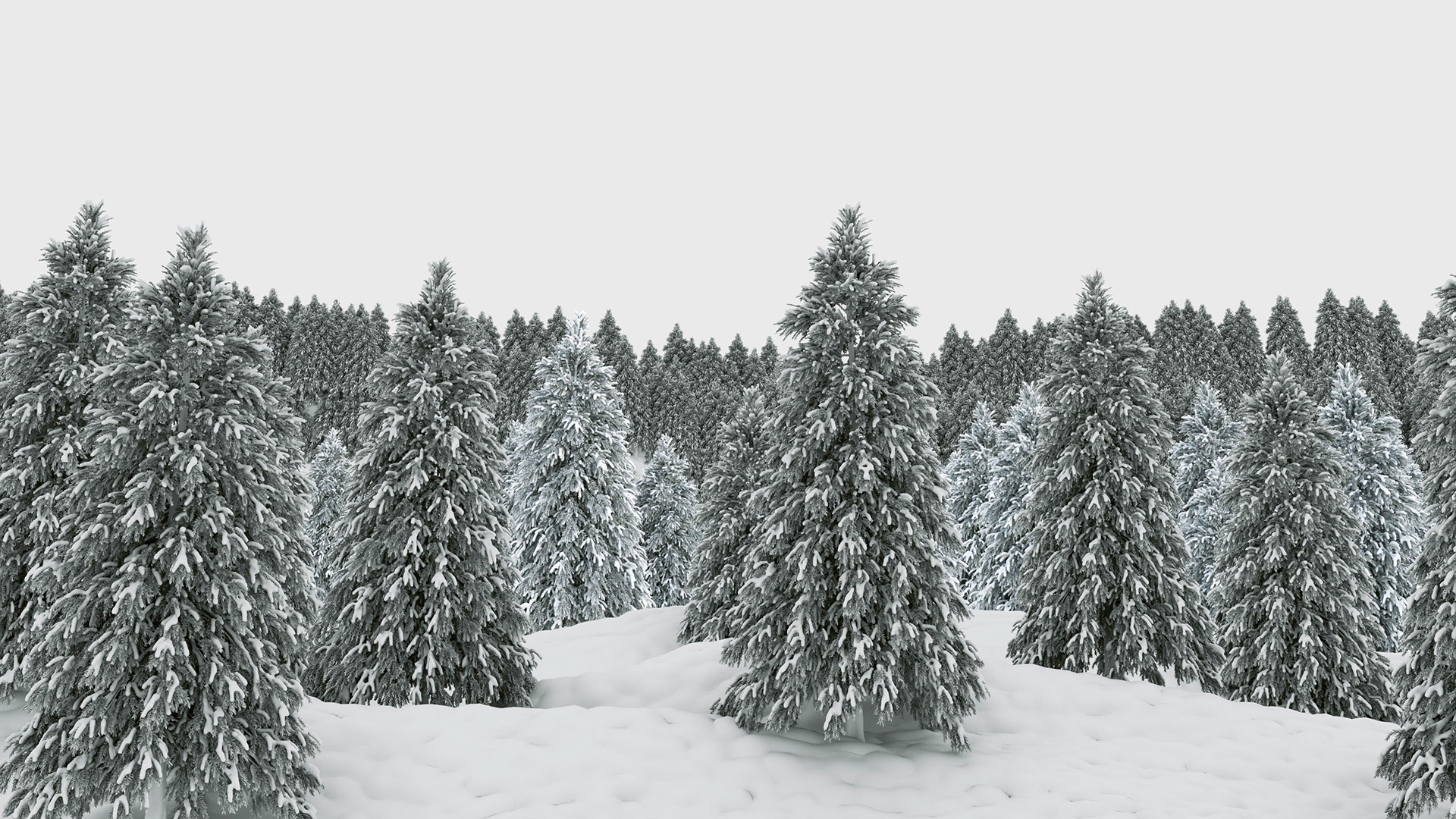 Michael Szabo | Animation // Digital Art - 3D // Forester Snow Scene