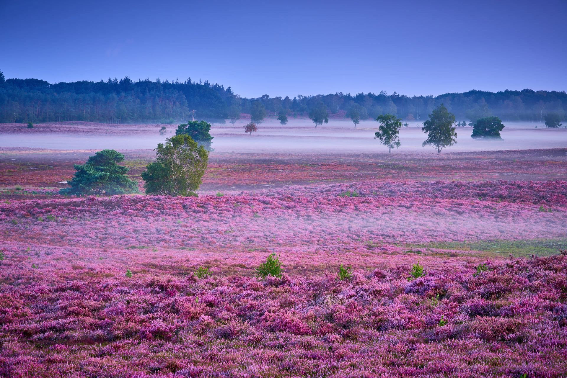 NETHERLANDSCAPES | Danny Tax Creative | Landschapsfotografie ...