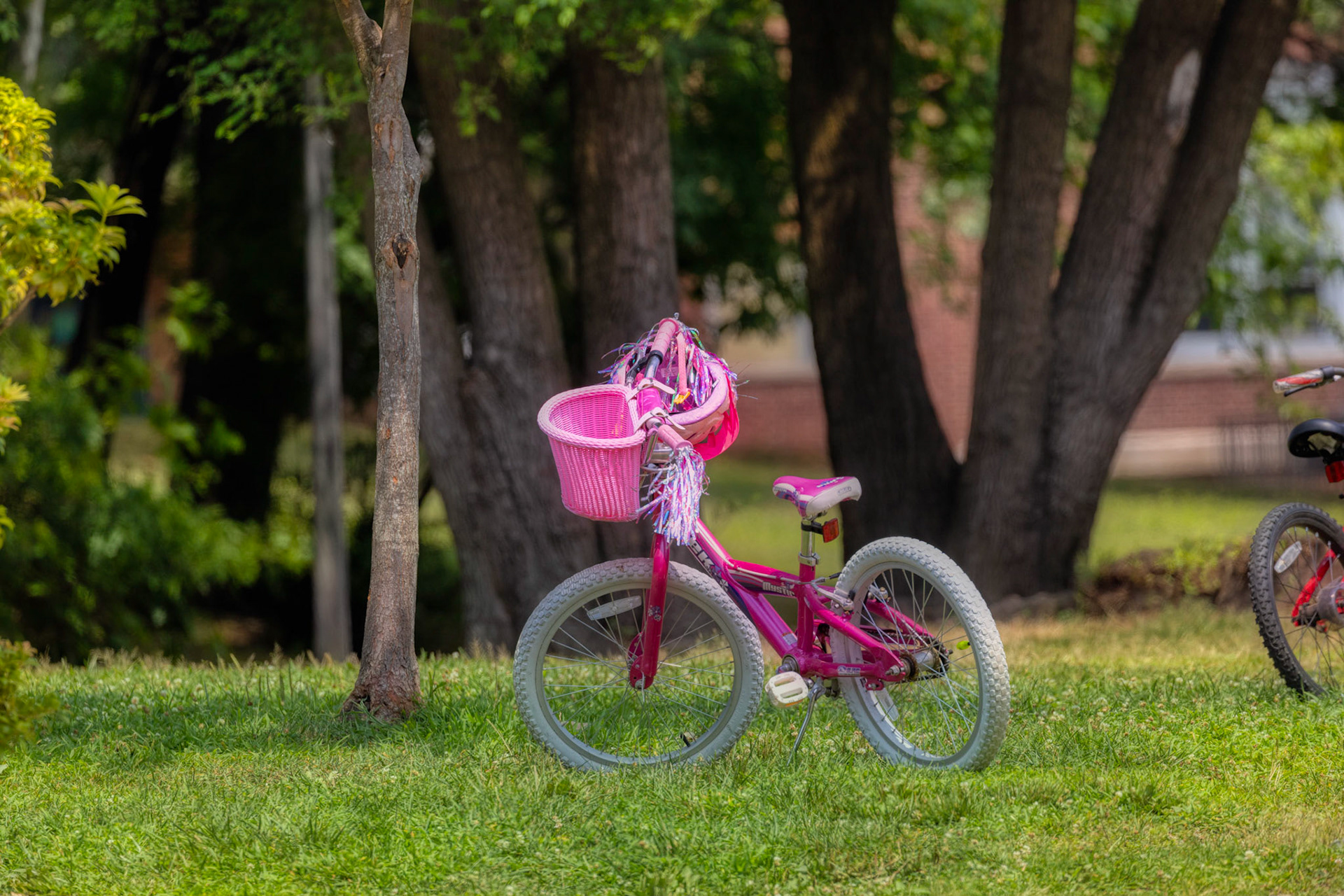 Vladimir Brook - Radburn park