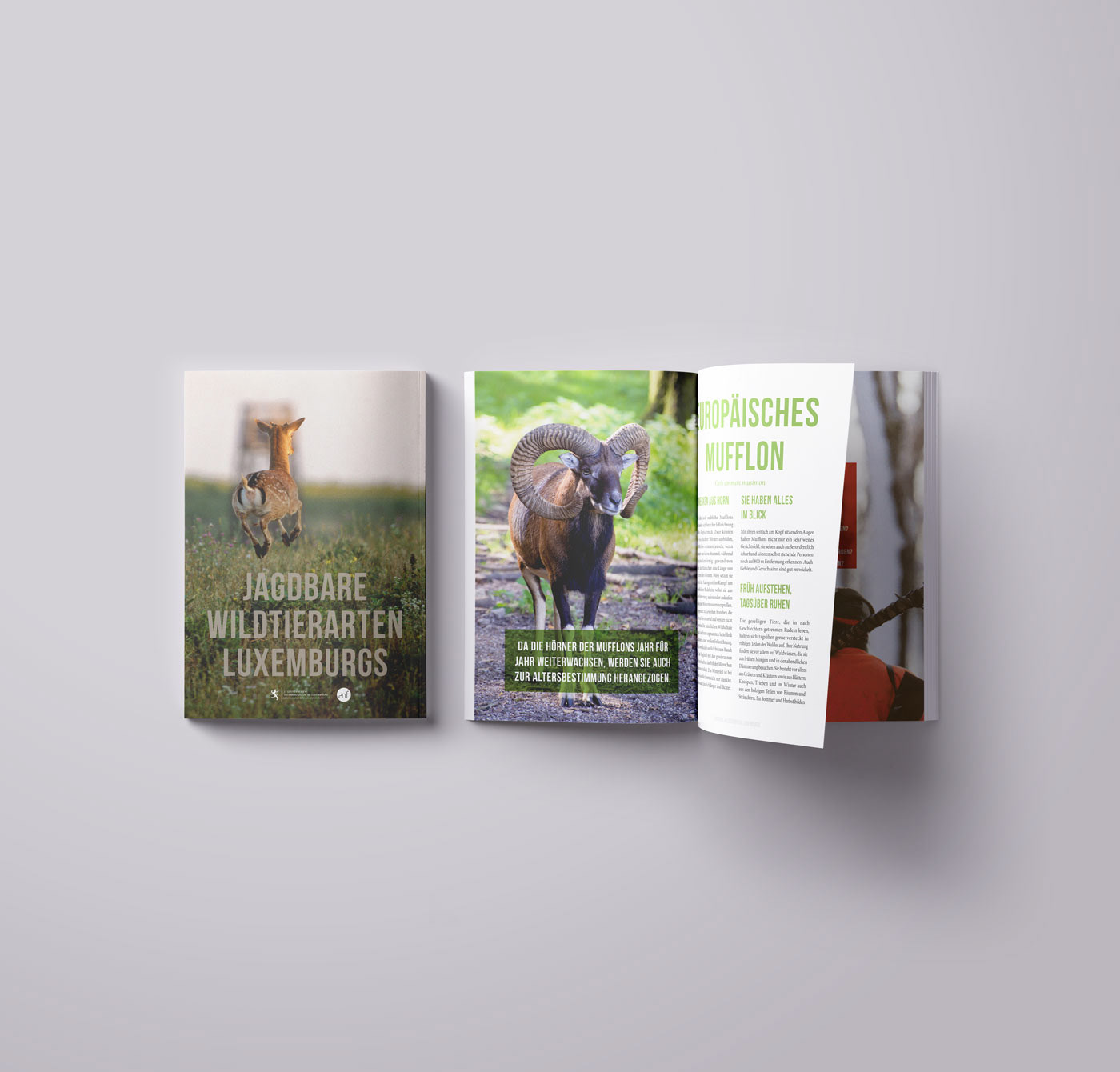 HUMAN MADE – information design, infographics, illustration, data ...