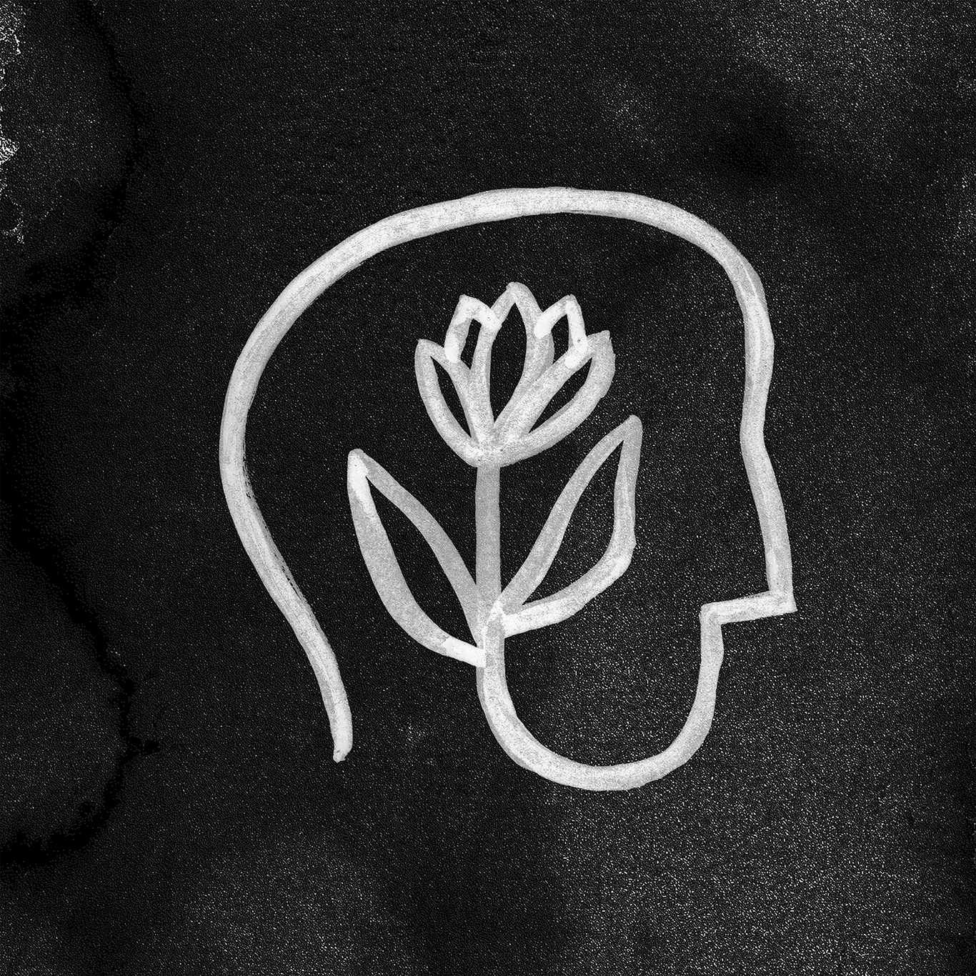 Tim Bauer Design