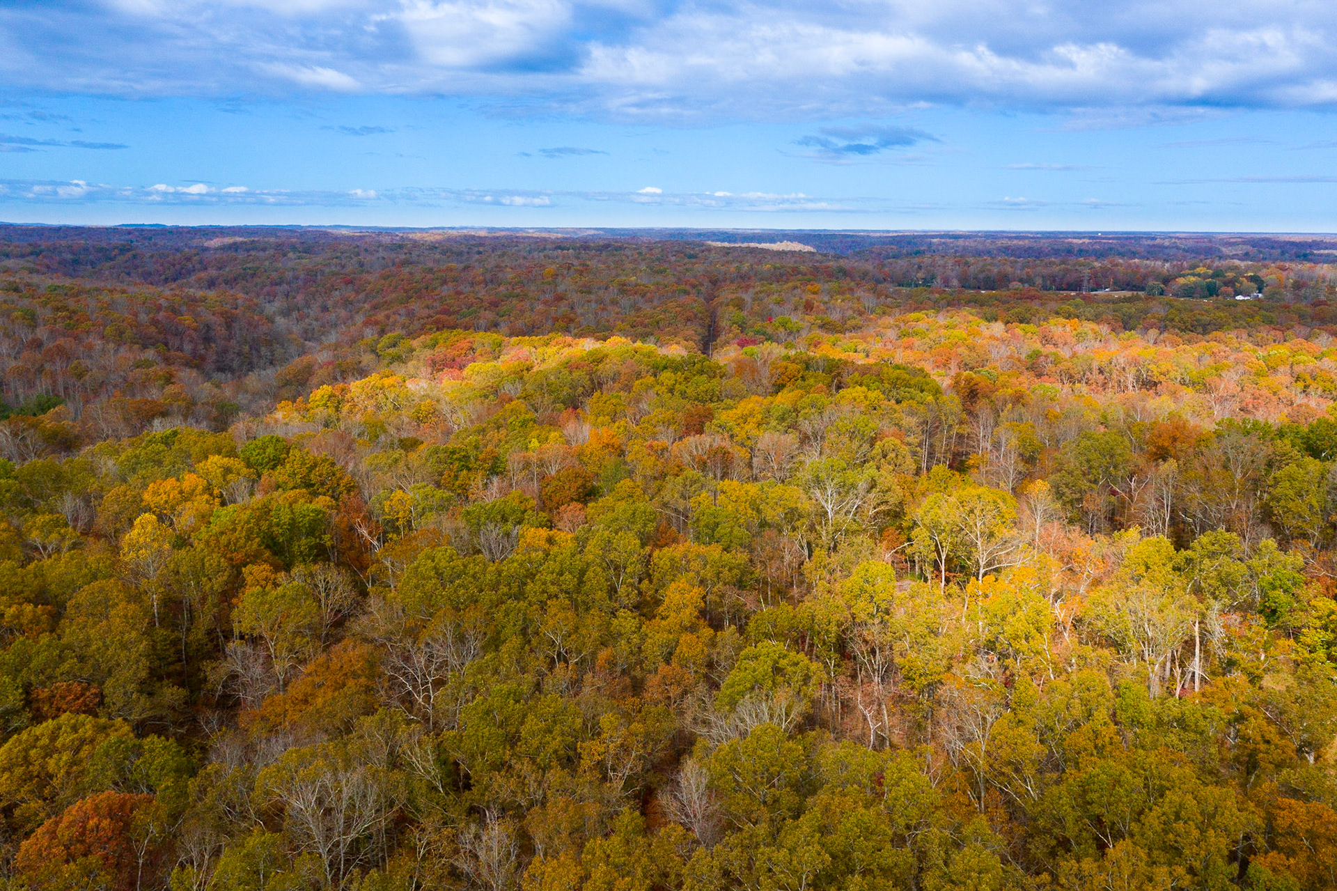Mickey Pullen - Drone Shots