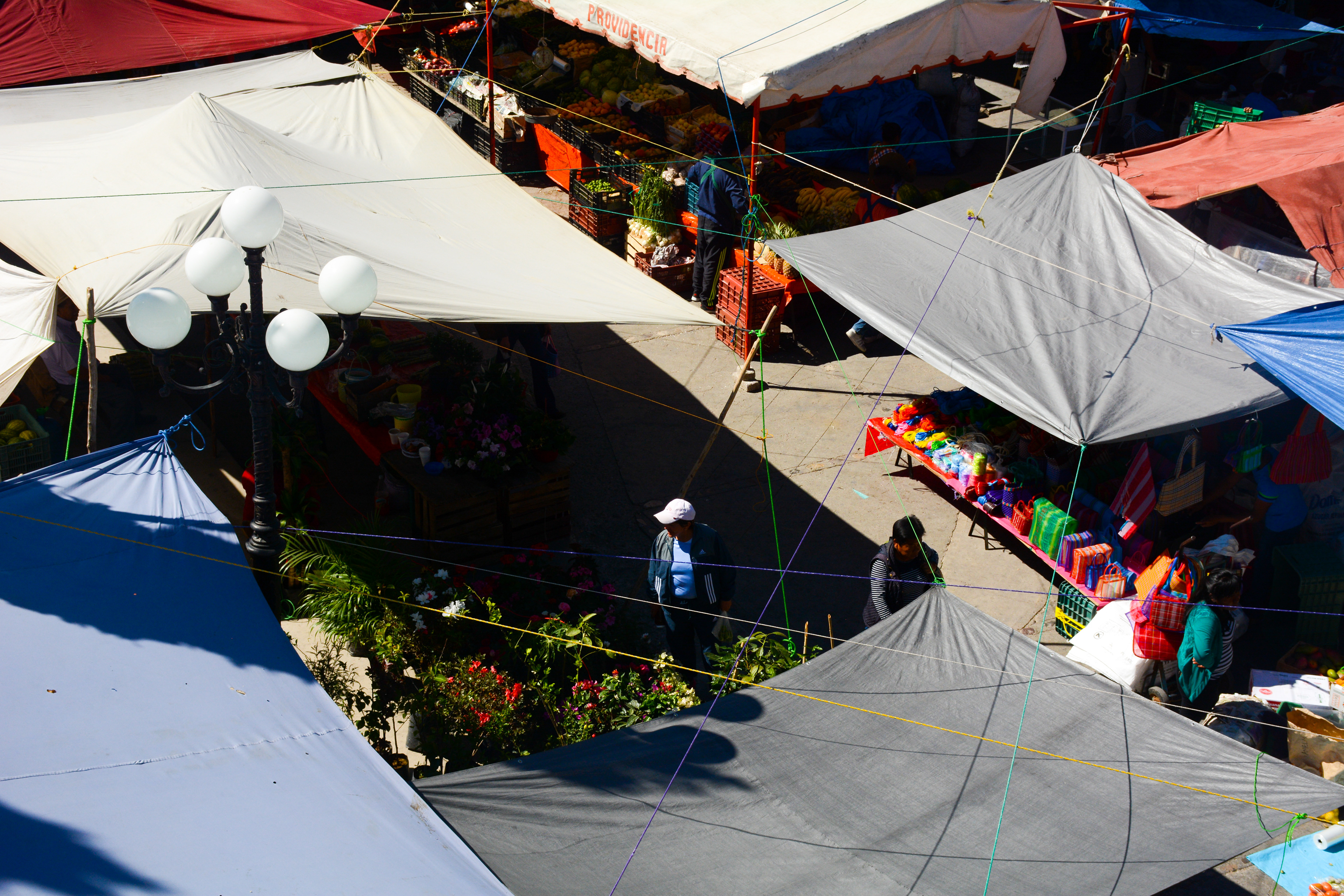 alan jinich - Oaxaca