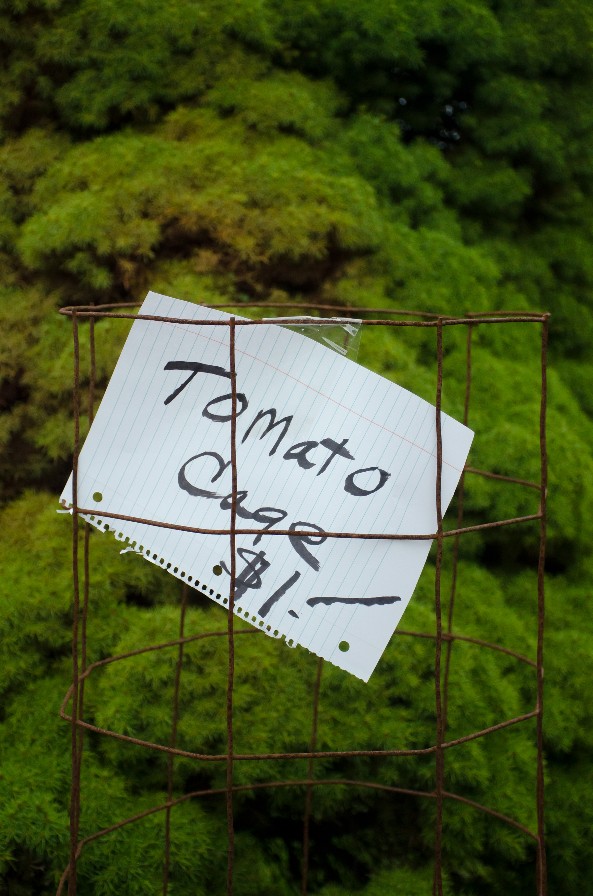 Joseph Provenza - Long Island